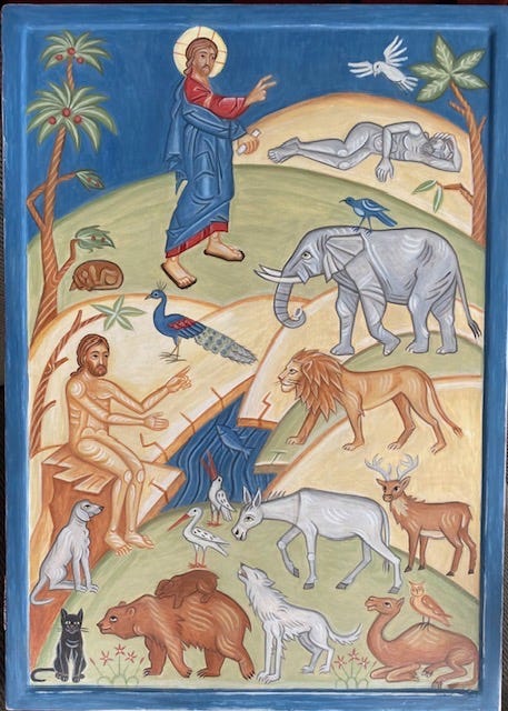 Animals, Children, and Refugees - by Solrunn Nes