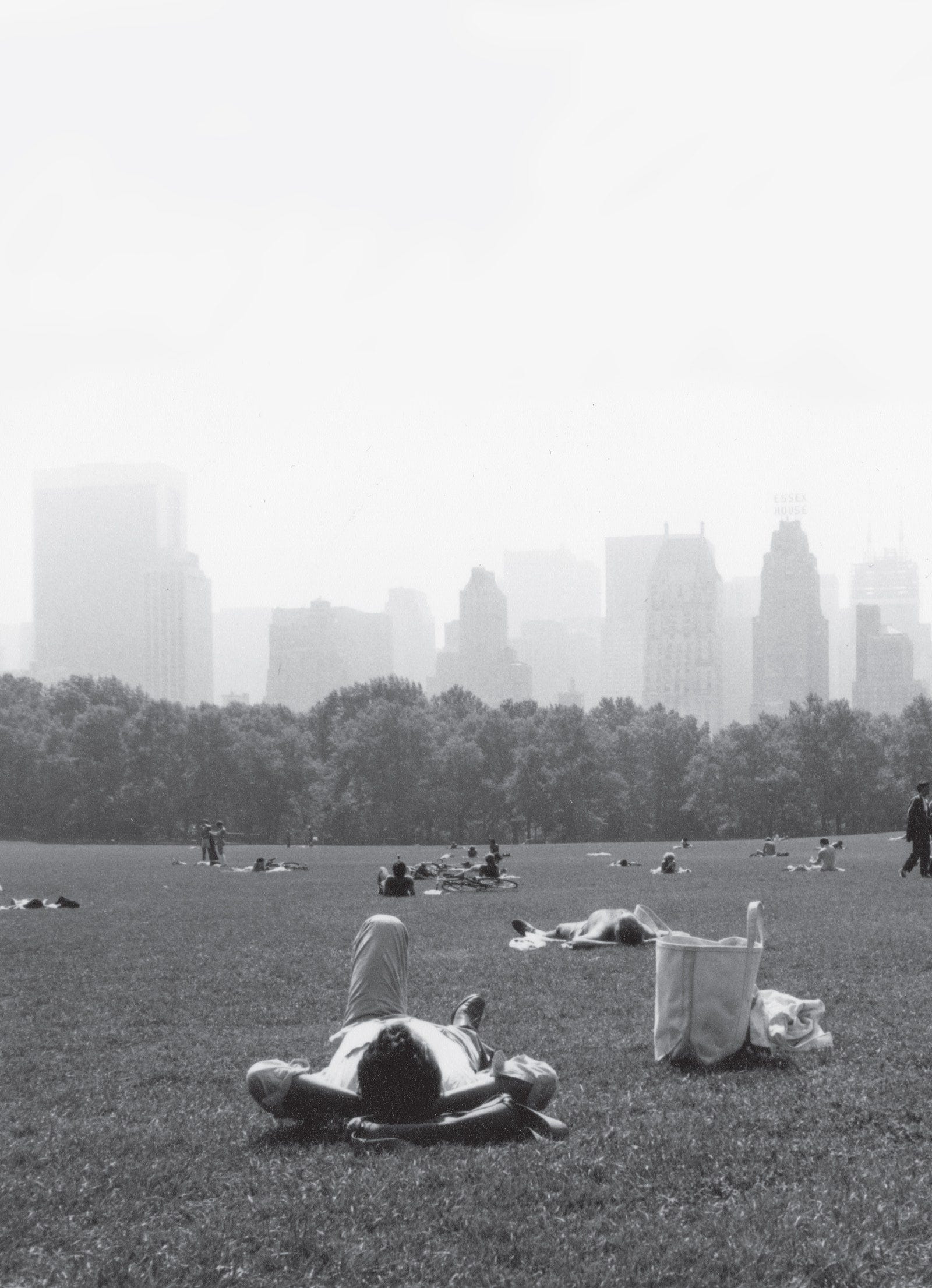 Sempé's cats and dogs - by Bailey Richardson - Art Dogs