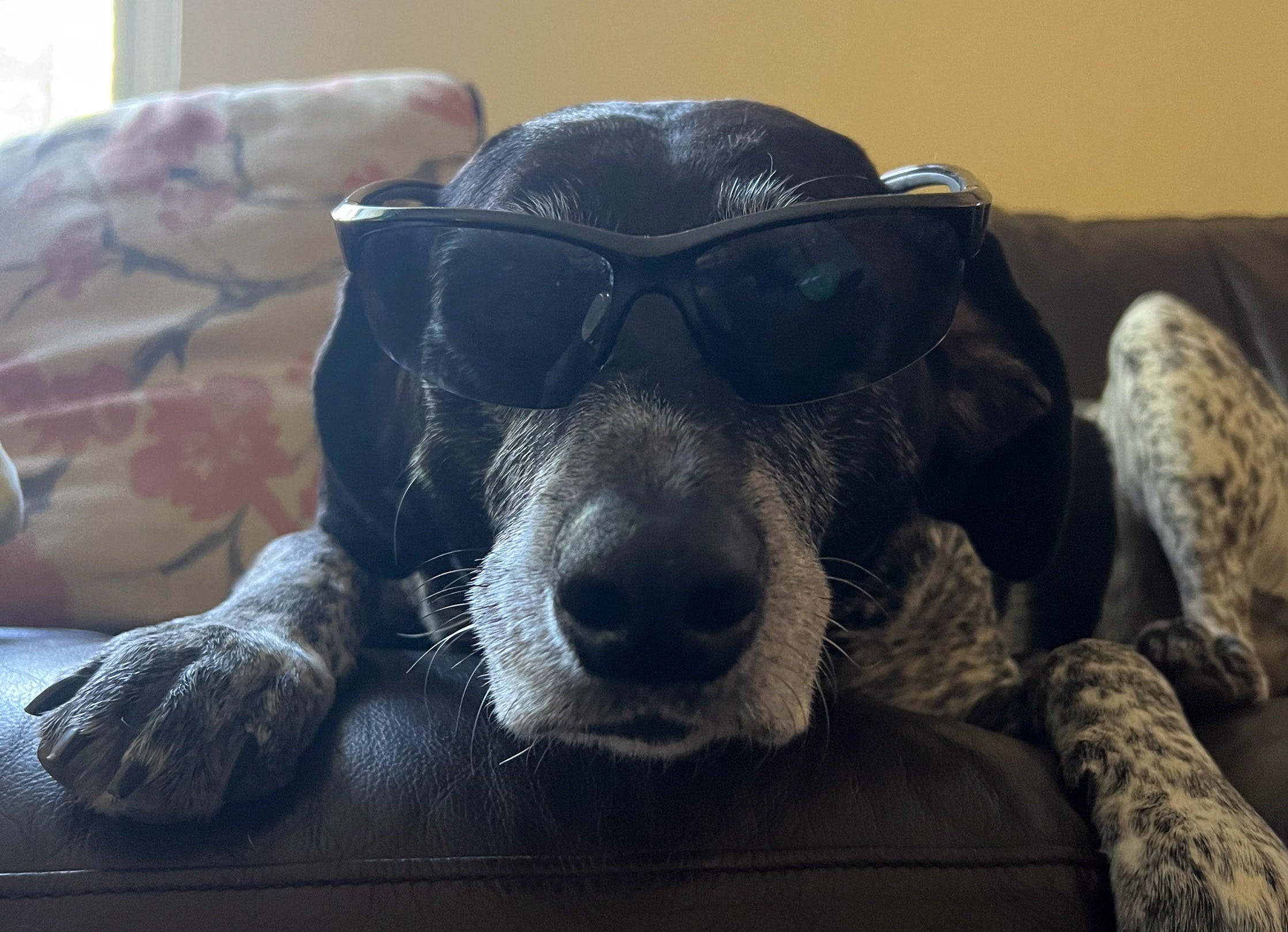 Noticings - Sparkles and the Storm - by Edward Goode