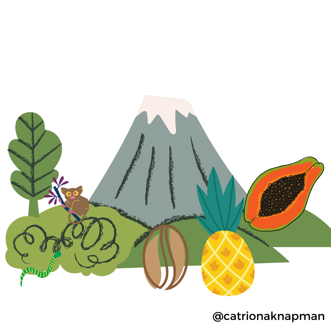 My Warm Scottish Stomach - by Catriona Knapman