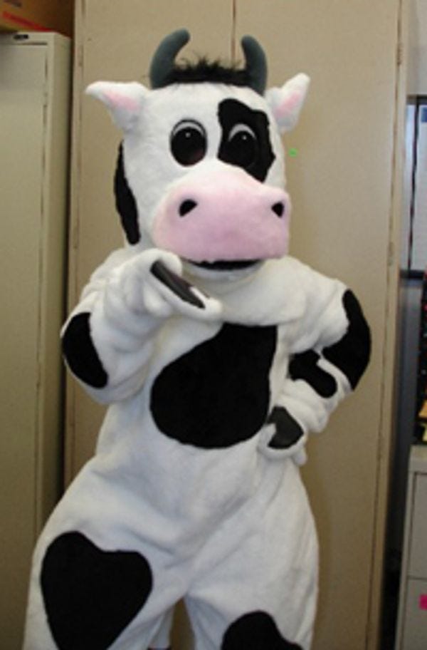 Meet The Cow Porn Judge! - by Sara K. Smith - Wonkette