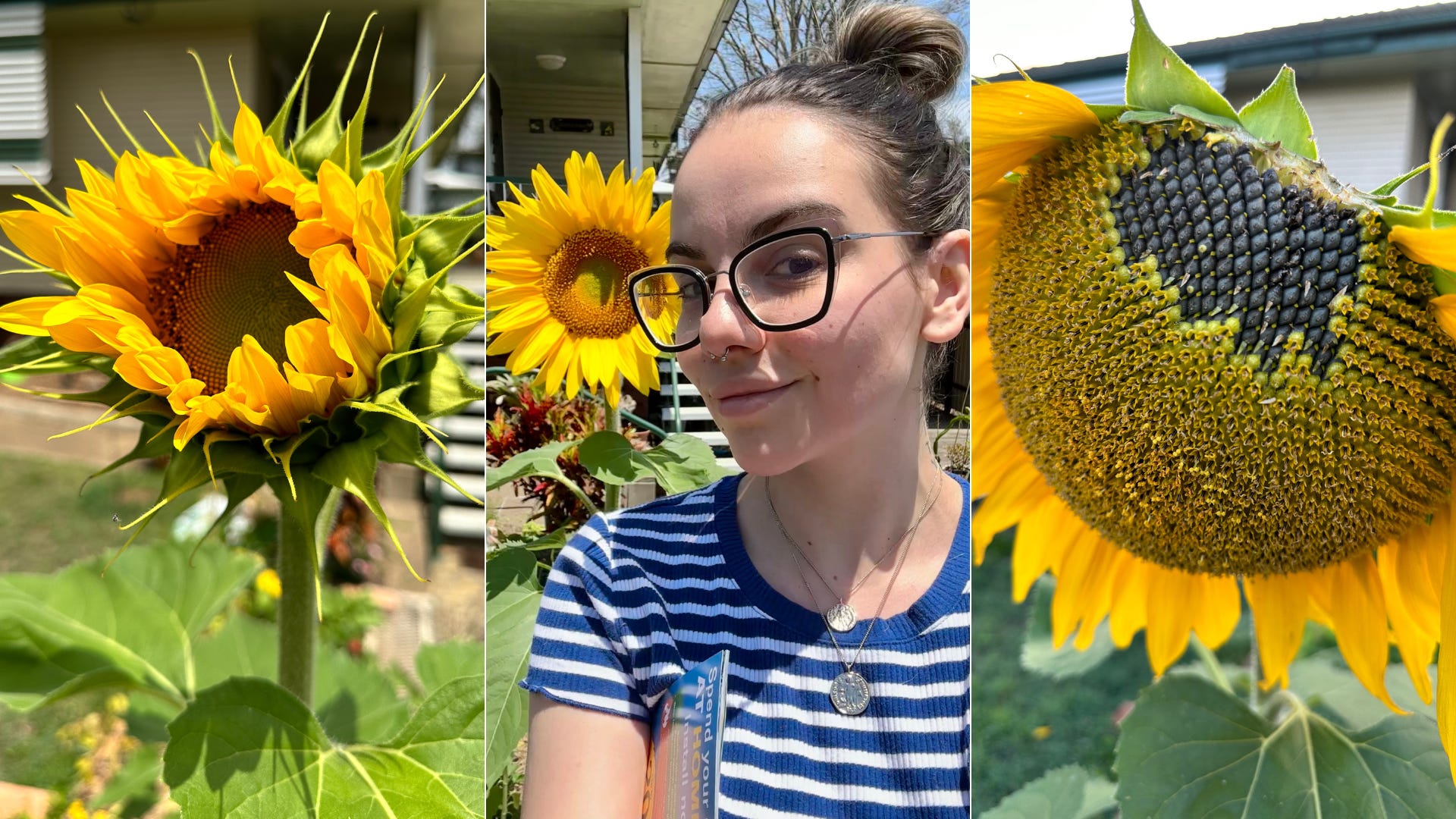 Collective Enoughness: How Abundance is a Natural Law of Earth