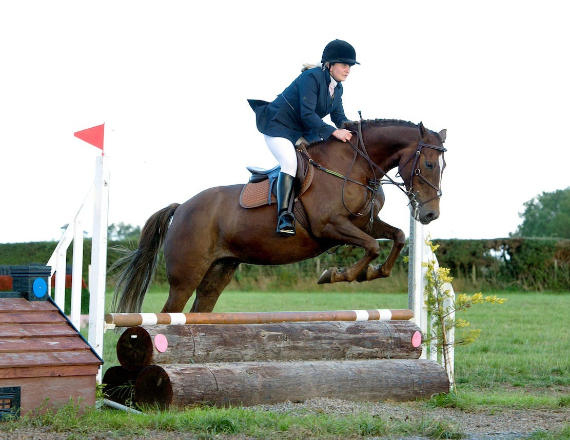 Straight from the Horse's Mouth: Celebrating one year of Horse & Field