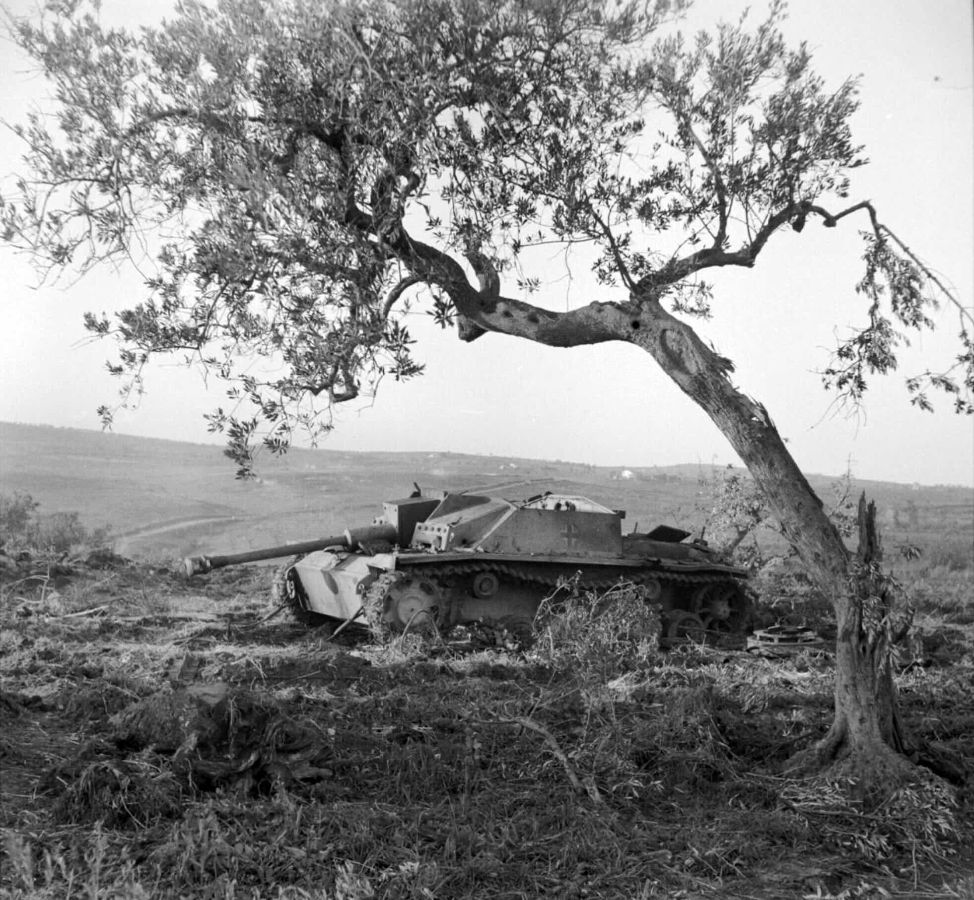 Germans turn against Italian civilians - by Martin Cherrett