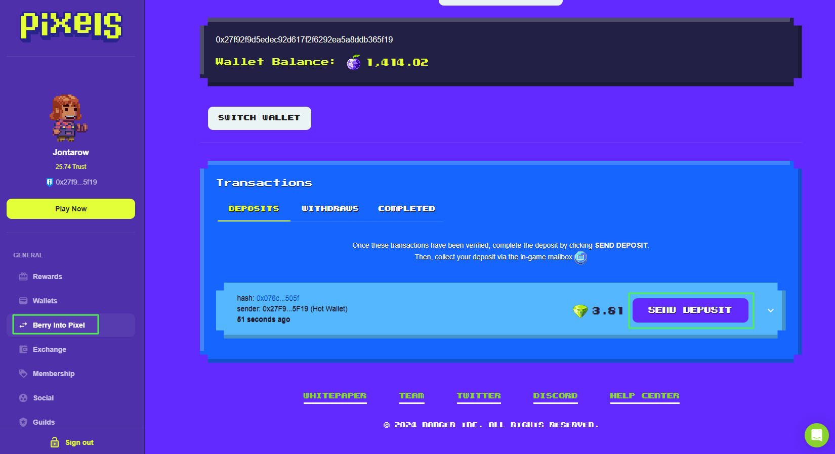 Pixels Players: the $BERRY Sunset has Begun