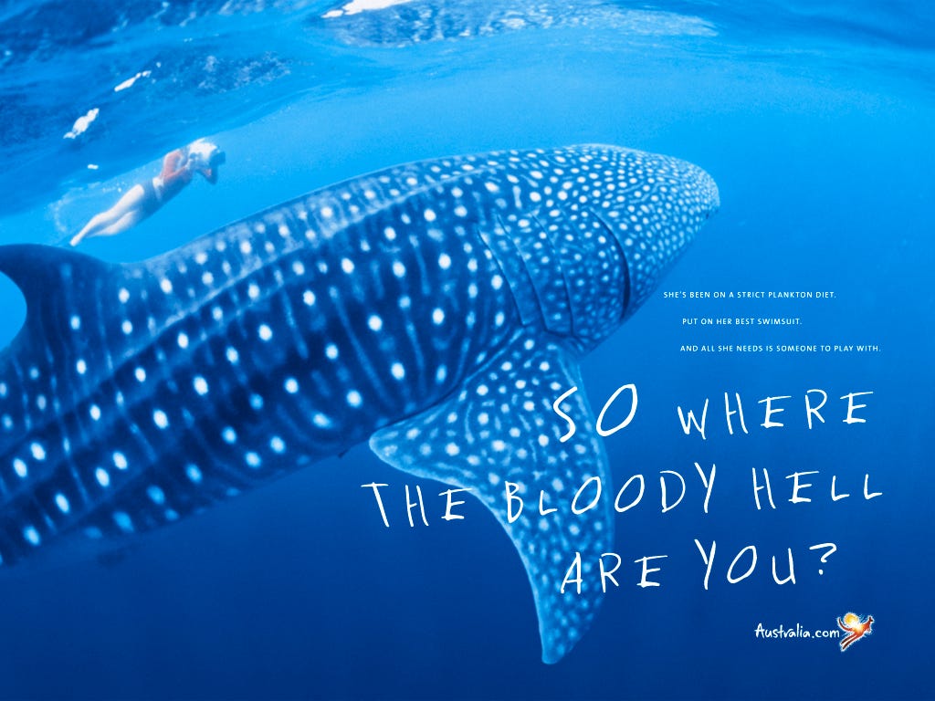 Only The Coolest Shark Ads (Updated)