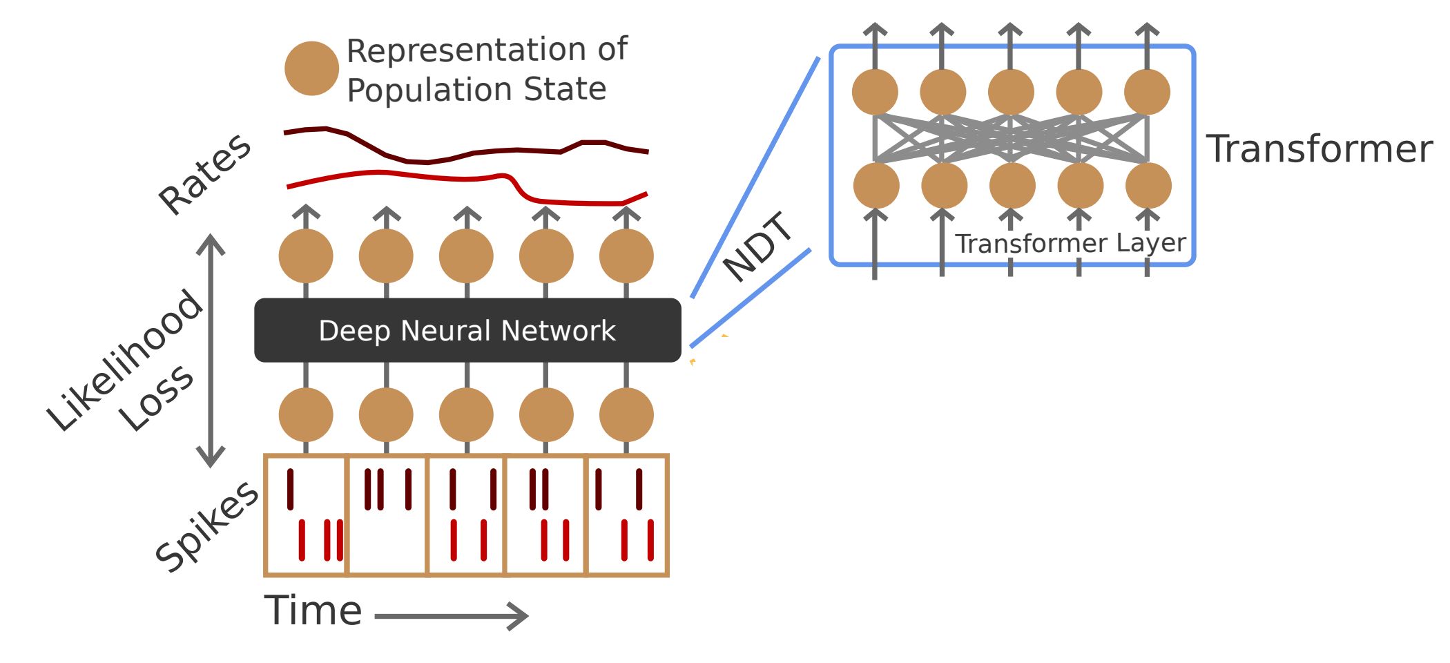 Foundation models for neuroscience - by Patrick Mineault
