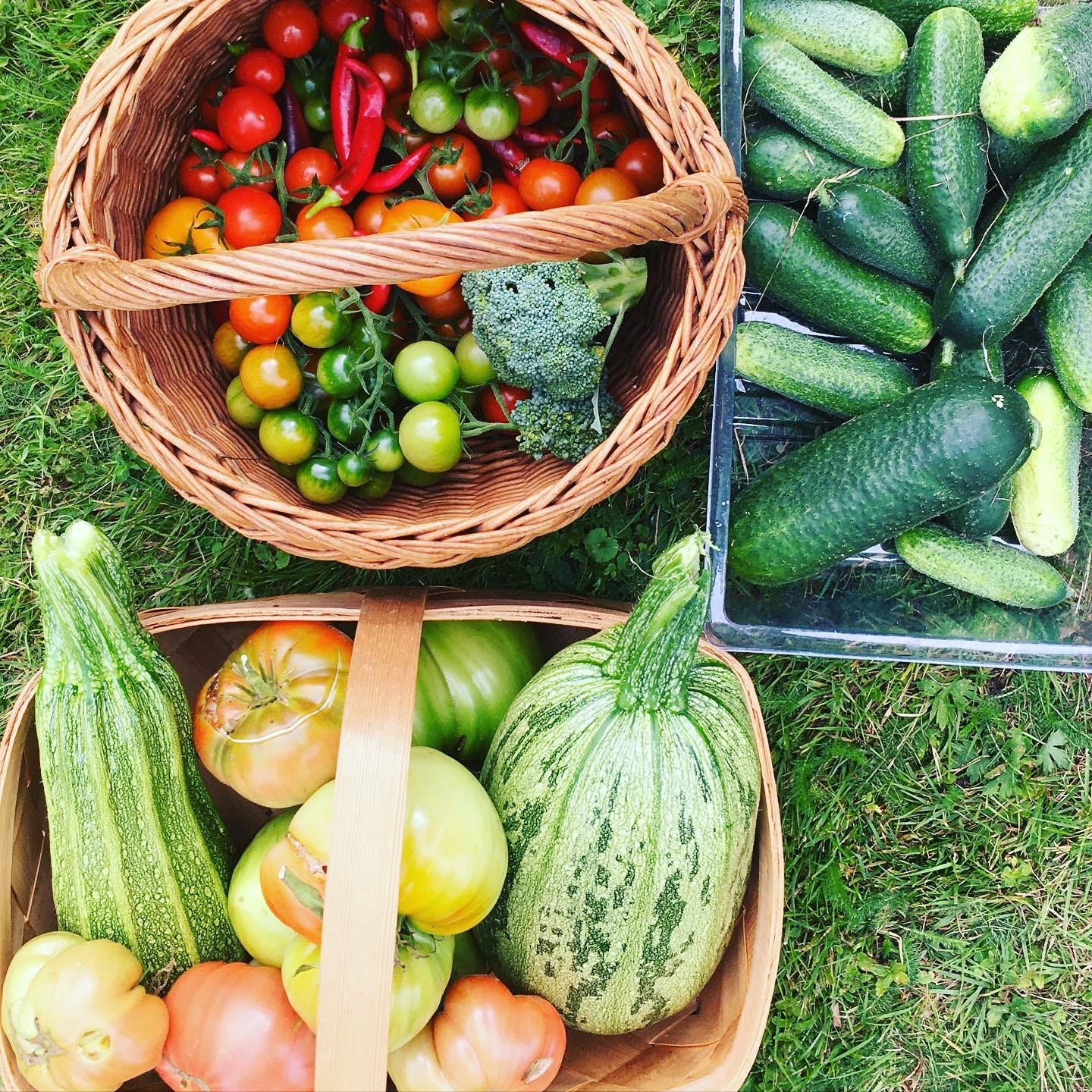 Kollaps och konserver - by Lovisa - Rimlig Levnadsstandard