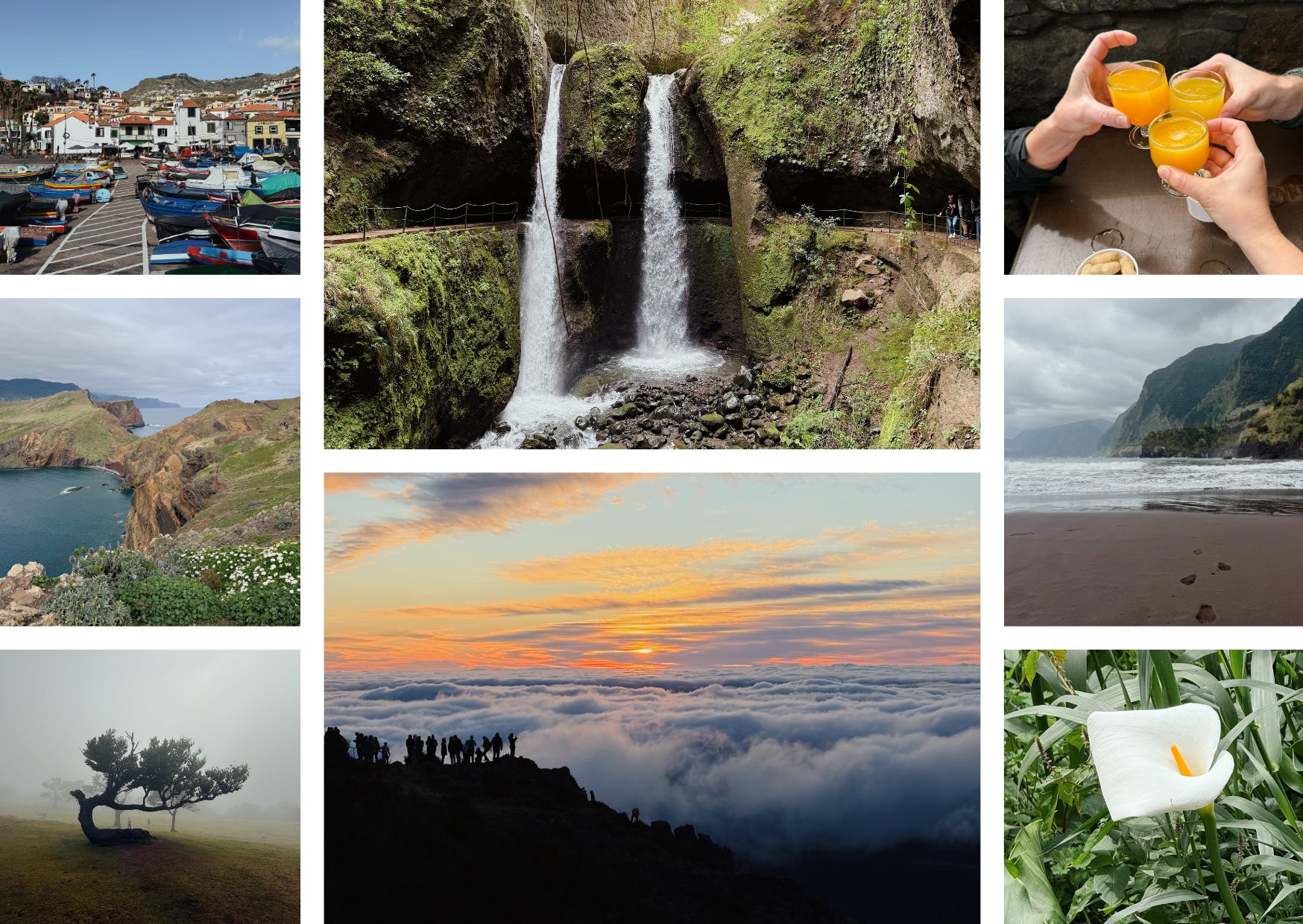 Postcard From Madeira - by Julianna Cassata