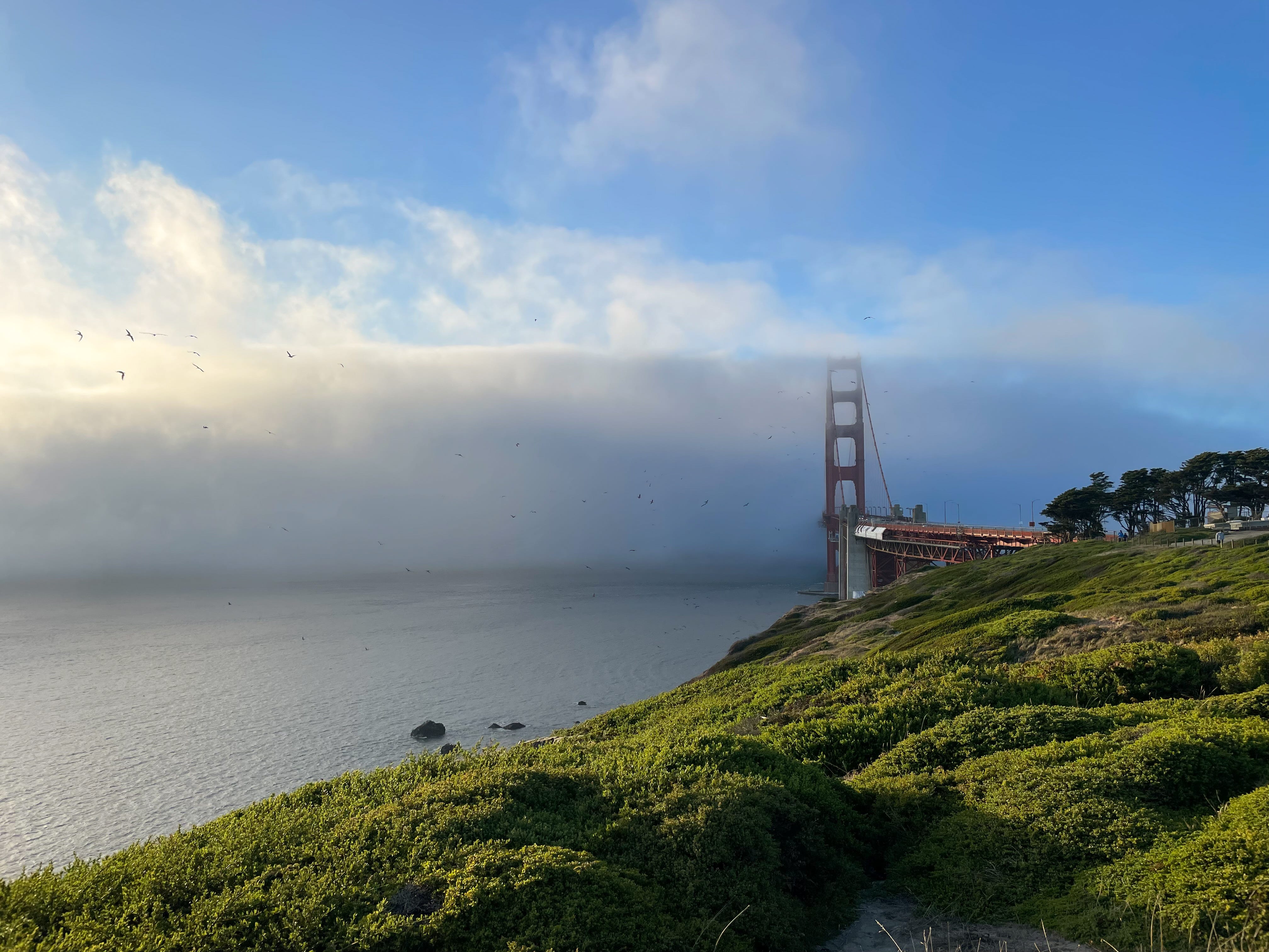 Doing our job - by Darya Zorka - From My Heart