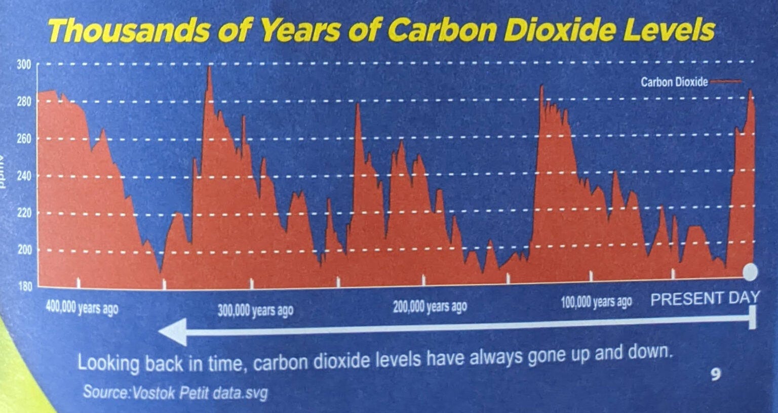 Back to Schools | U.S. Miseducation