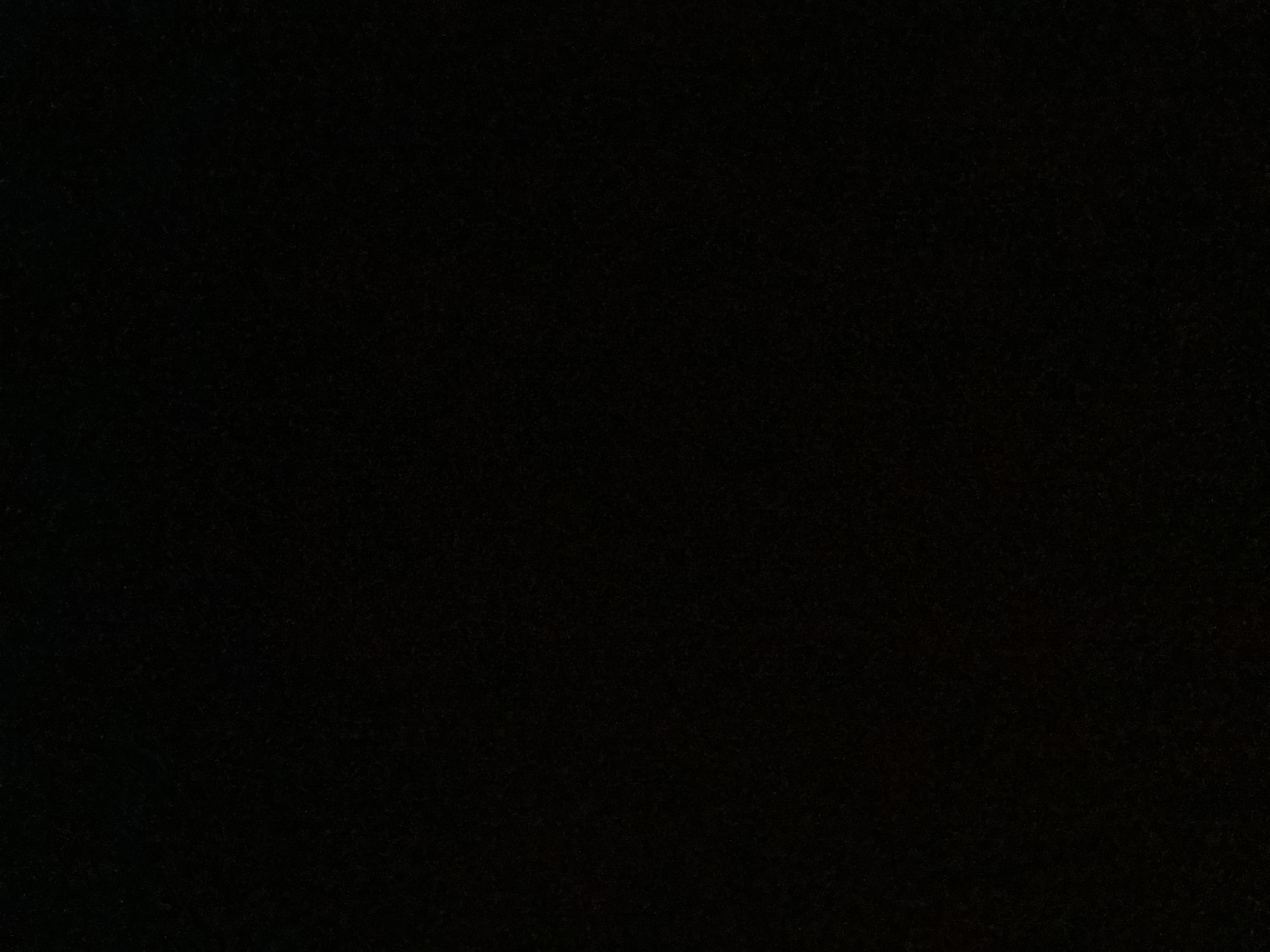 JILL LYNCH | Substack