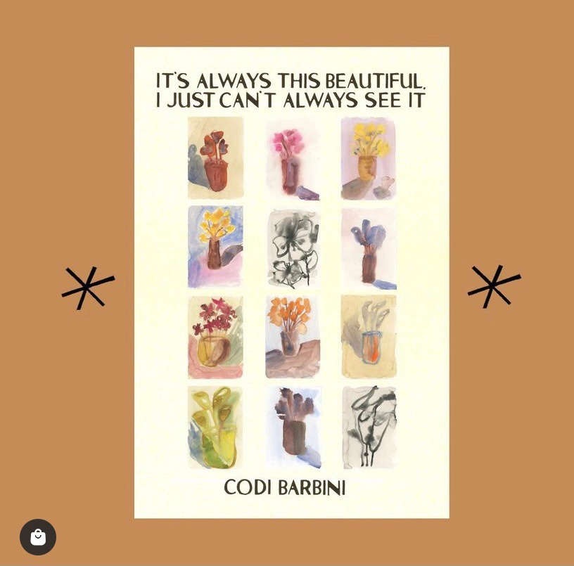 Codi Barbini | Substack