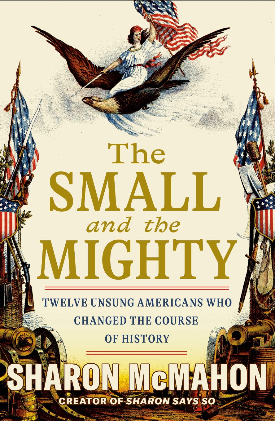 My Rejected Book Covers - by Sharon McMahon - The Preamble