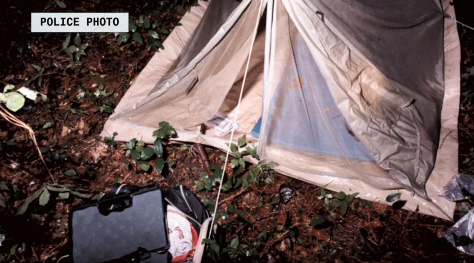 The Cult Classic Horror Film Scream was Based on A Real Life Florida ...