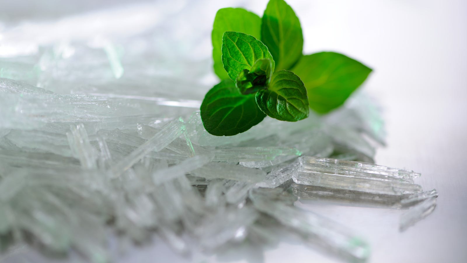 Menthol: A small molecule full of minty magic!