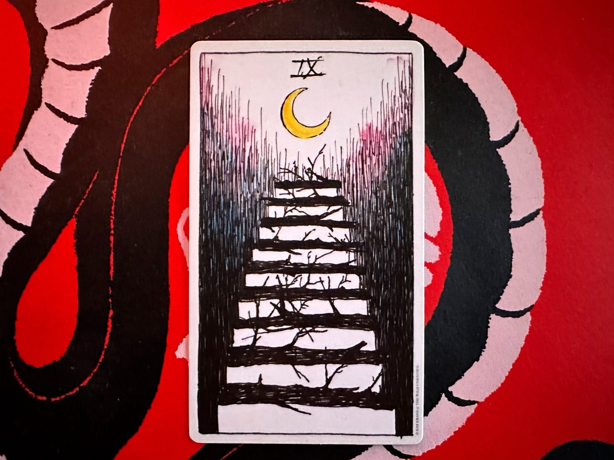 🪞November Reflection: Nine of Wands - by Sarah Black