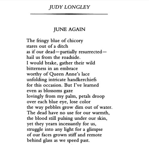 Poems for the Month of June - by Maya C. Popa