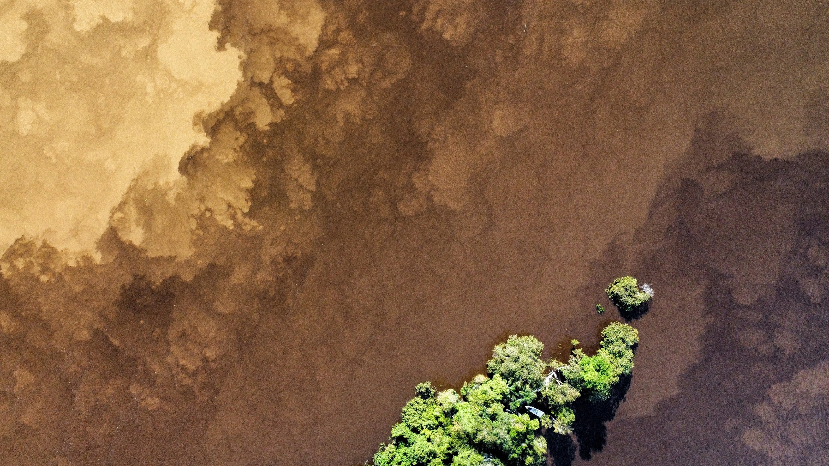 Estrella Fluvial del Inírida - by Óscar Iván Pérez H.