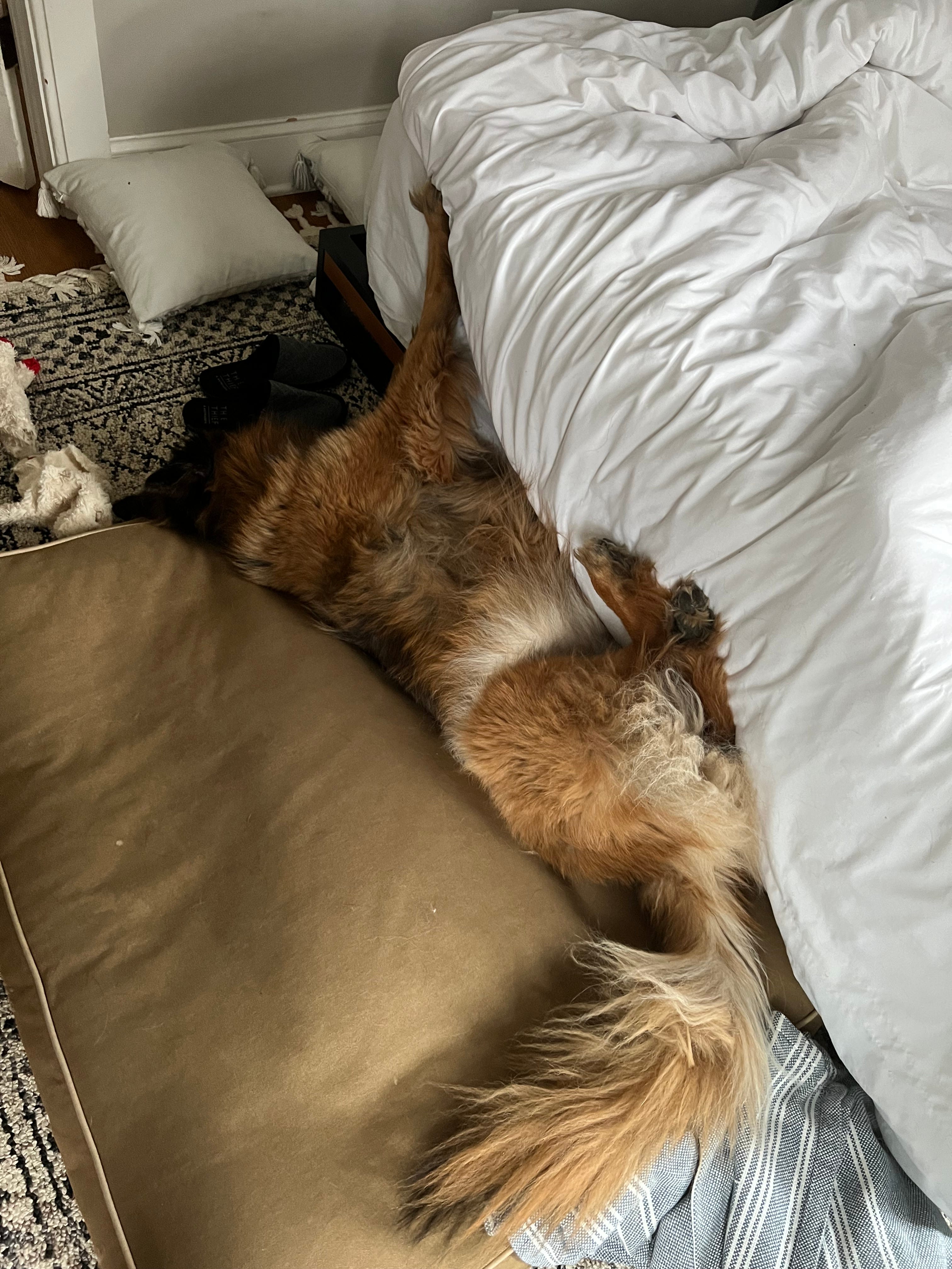 Beans - Off Days with Katie Gatti Tassin