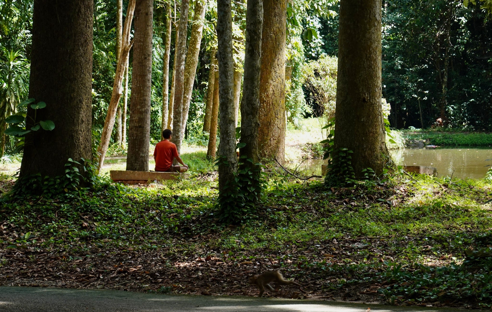 Ten Days of Silence - by Weichen Liu - Abundant Game