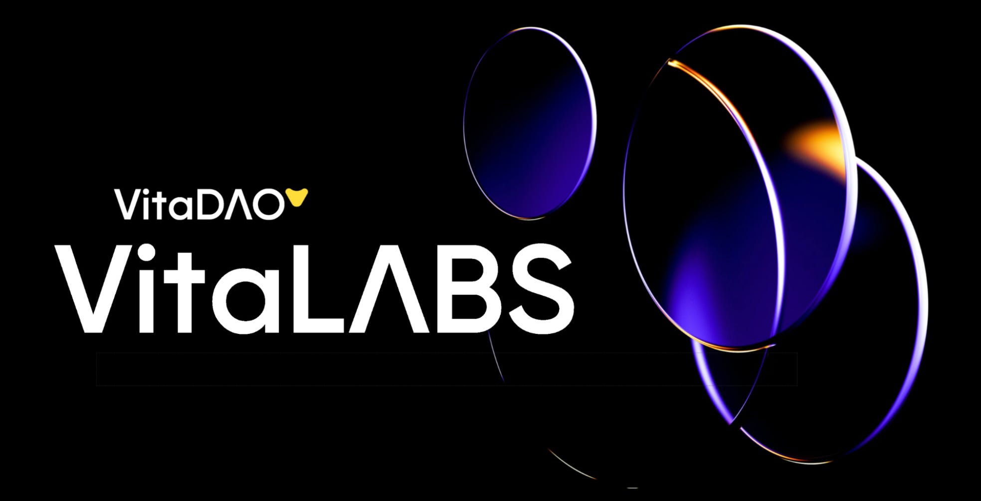 Introducing VitaLabs - VitaDAO’s Substack