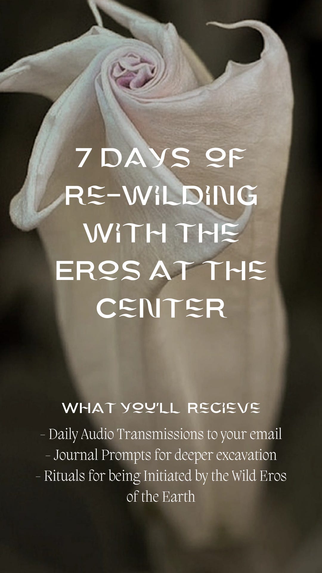 Courting the Wild Love - by Jillian Mackenzie