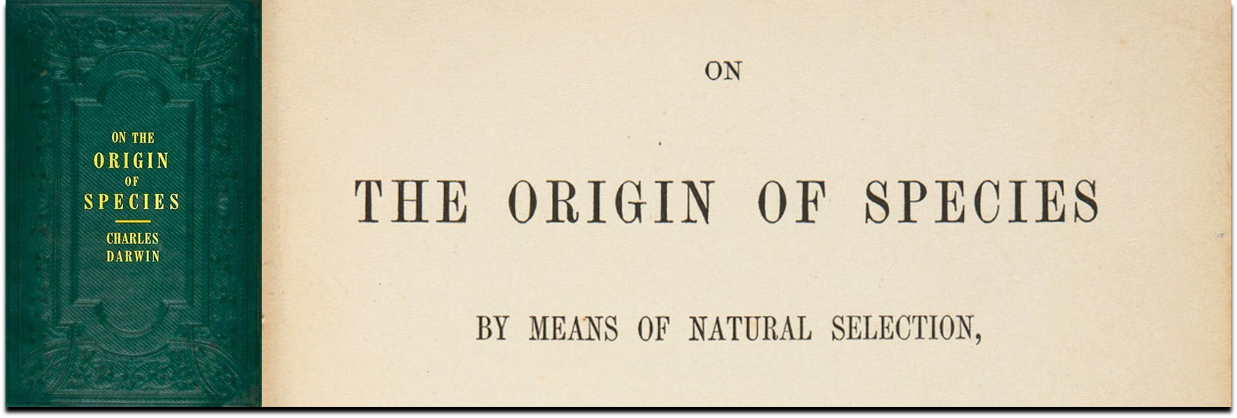Six Books for Students of Evolutionary Biology