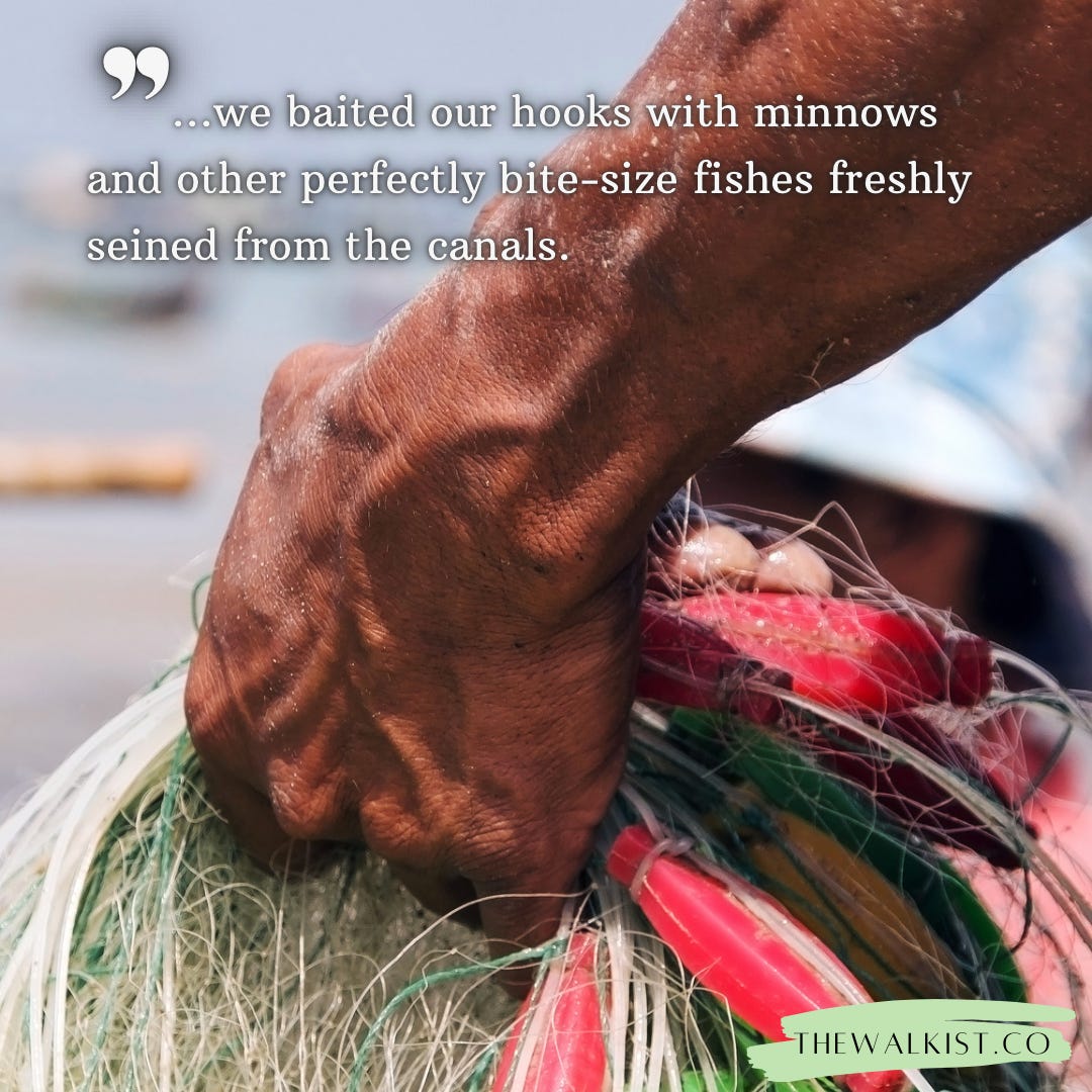 Malecón, Donkey Fish, and a French Film: Mazatlán Part 2