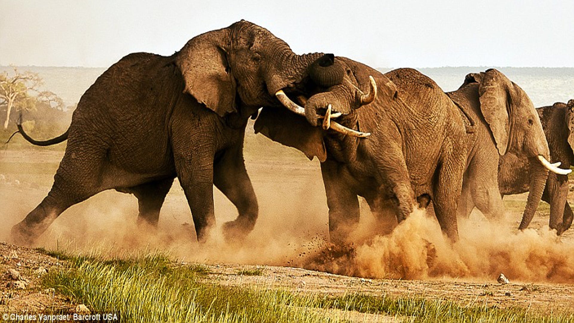 A Prayer That Preaches - by Wade Hodges - Here Goes Nothing