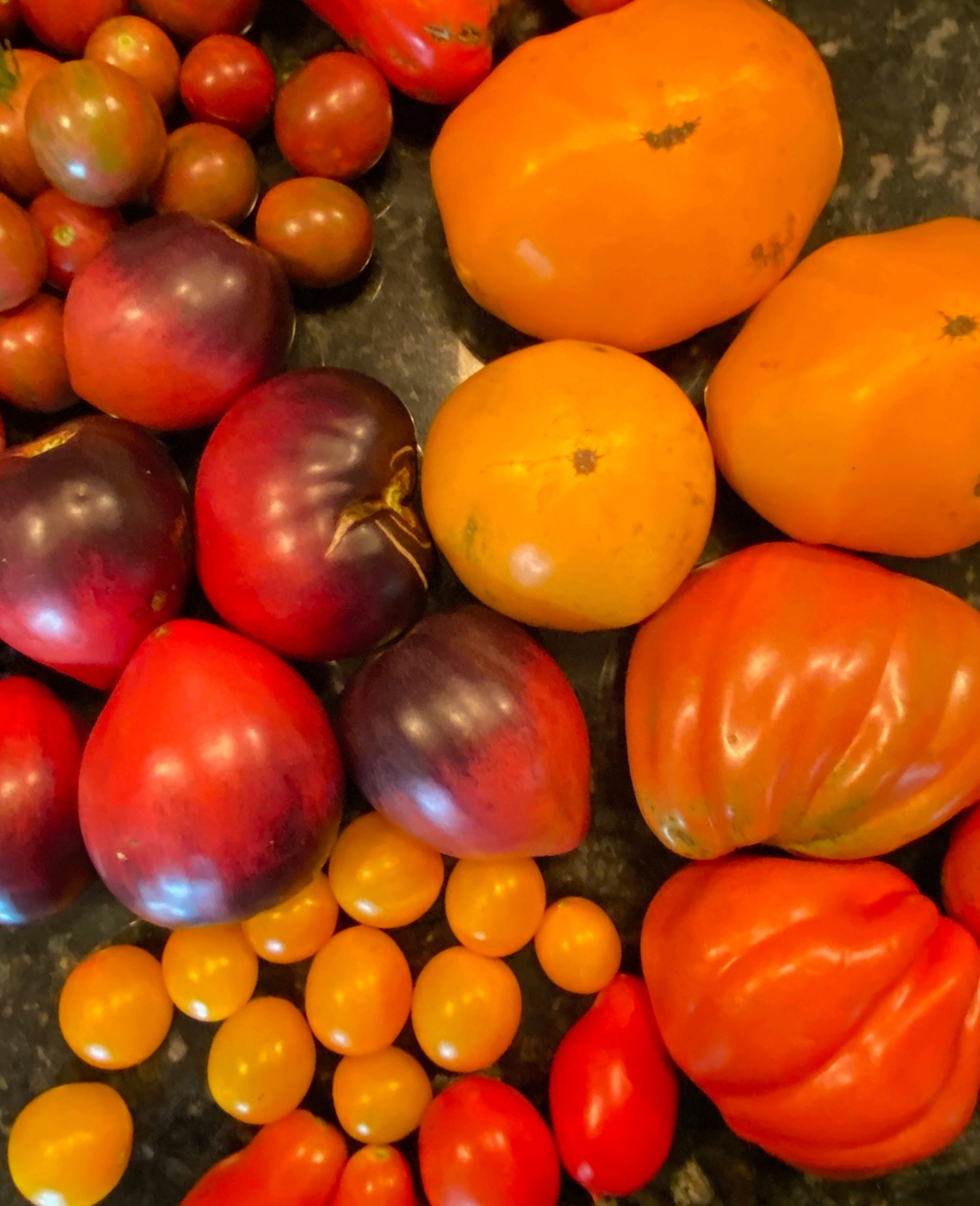 5 easy ways to use a bumper crop - by Chicago Tomato Man