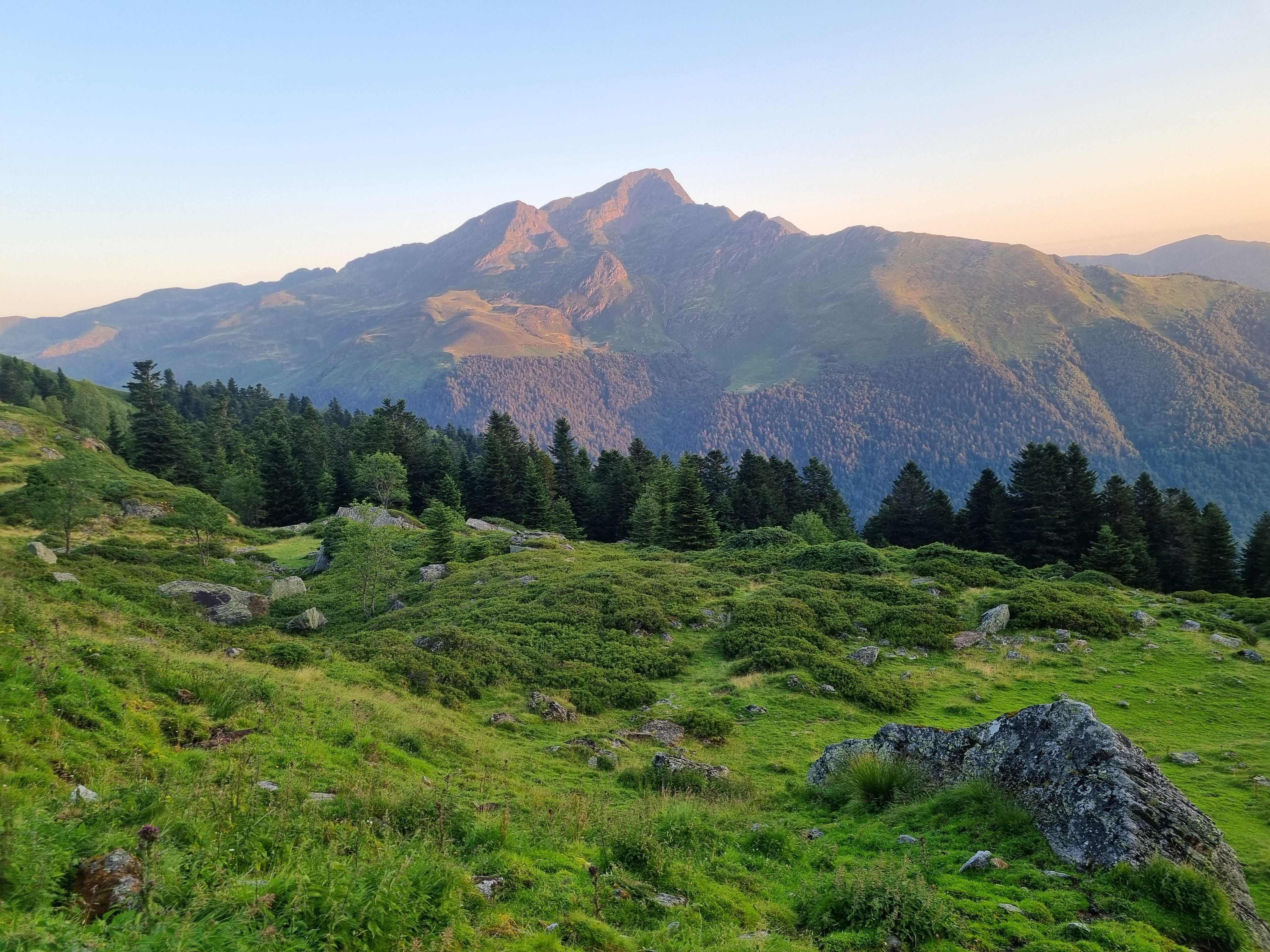 Body of Work - by Ben Dhiman - The Speedhiman Substack