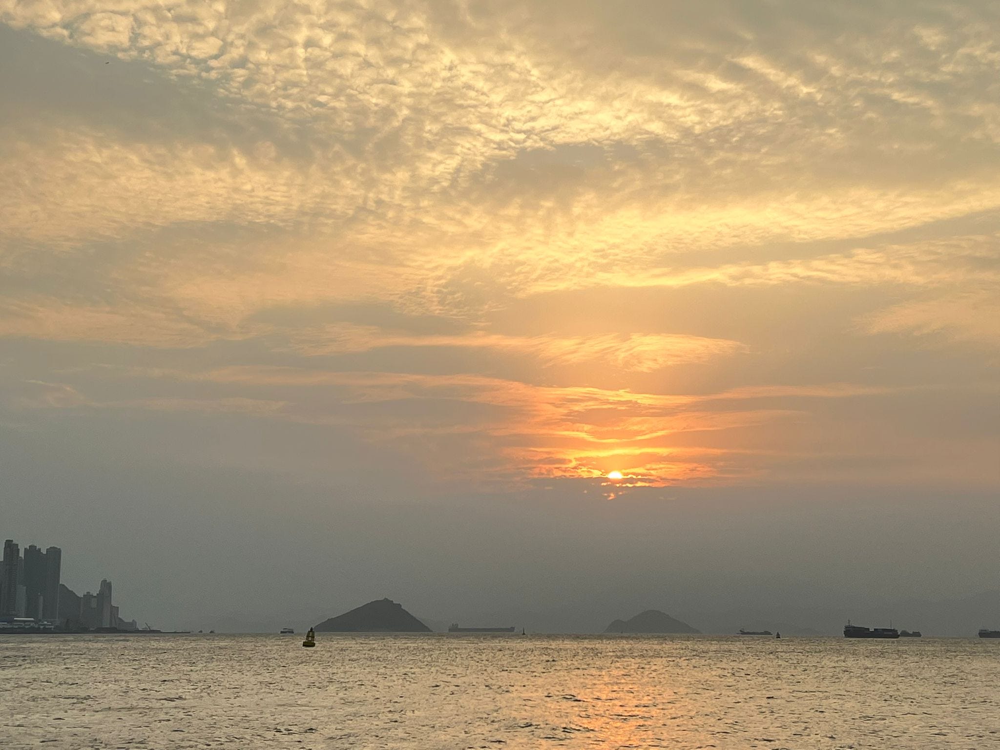 閭丘露薇 Rose Luqiu | Substack