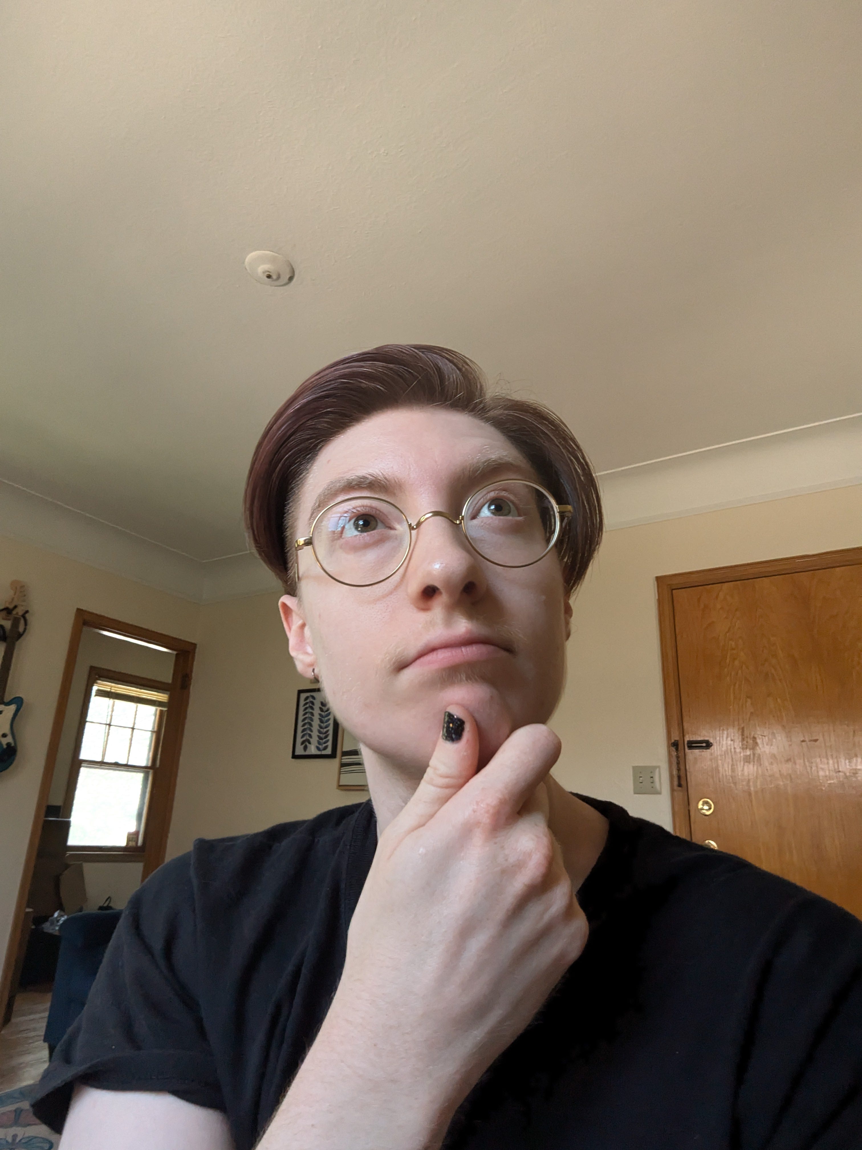 Aster Gallus | Substack