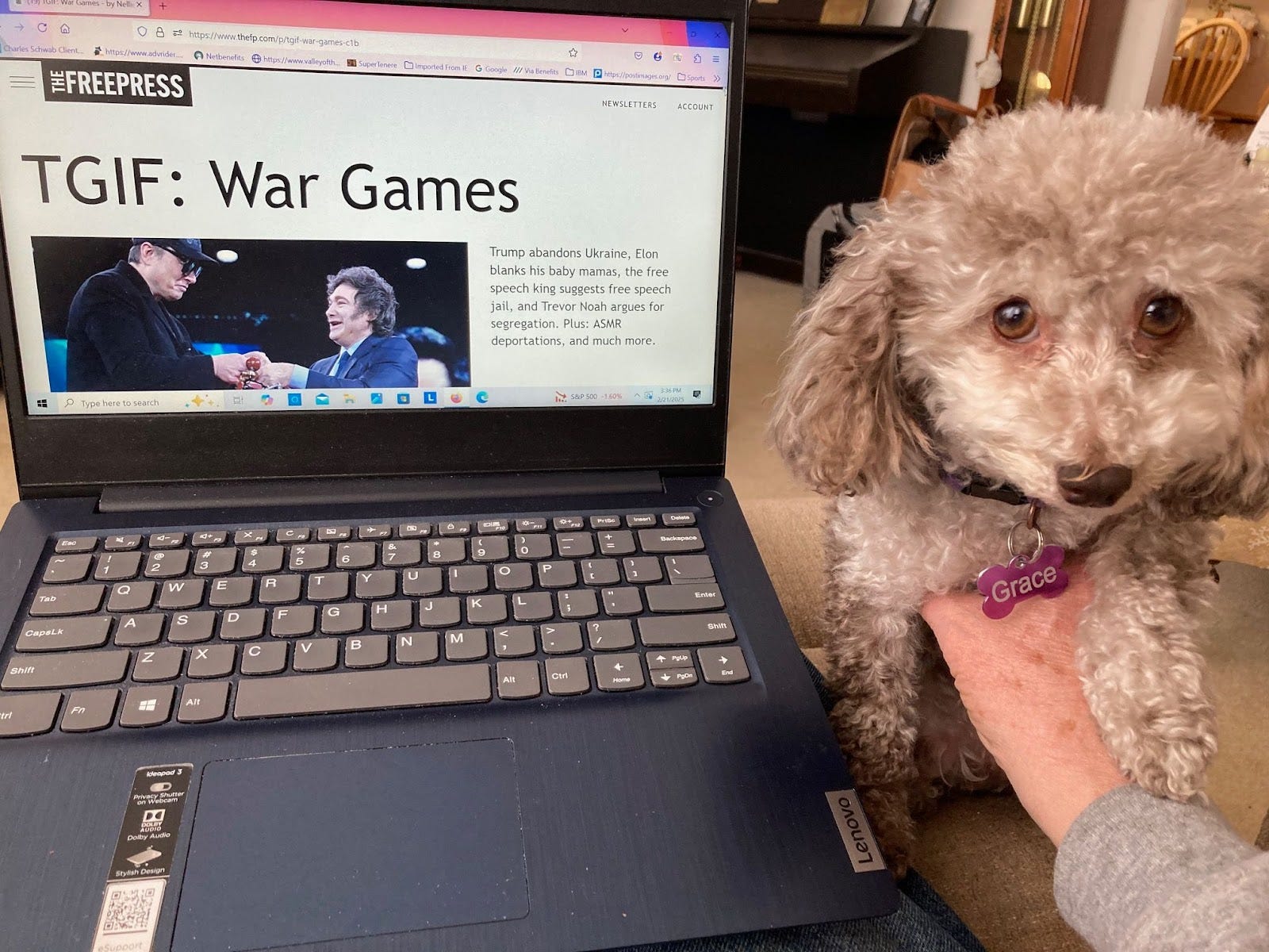 TGIF: Gold Bars, Gold Stars, Gold Cards - by Nellie Bowles