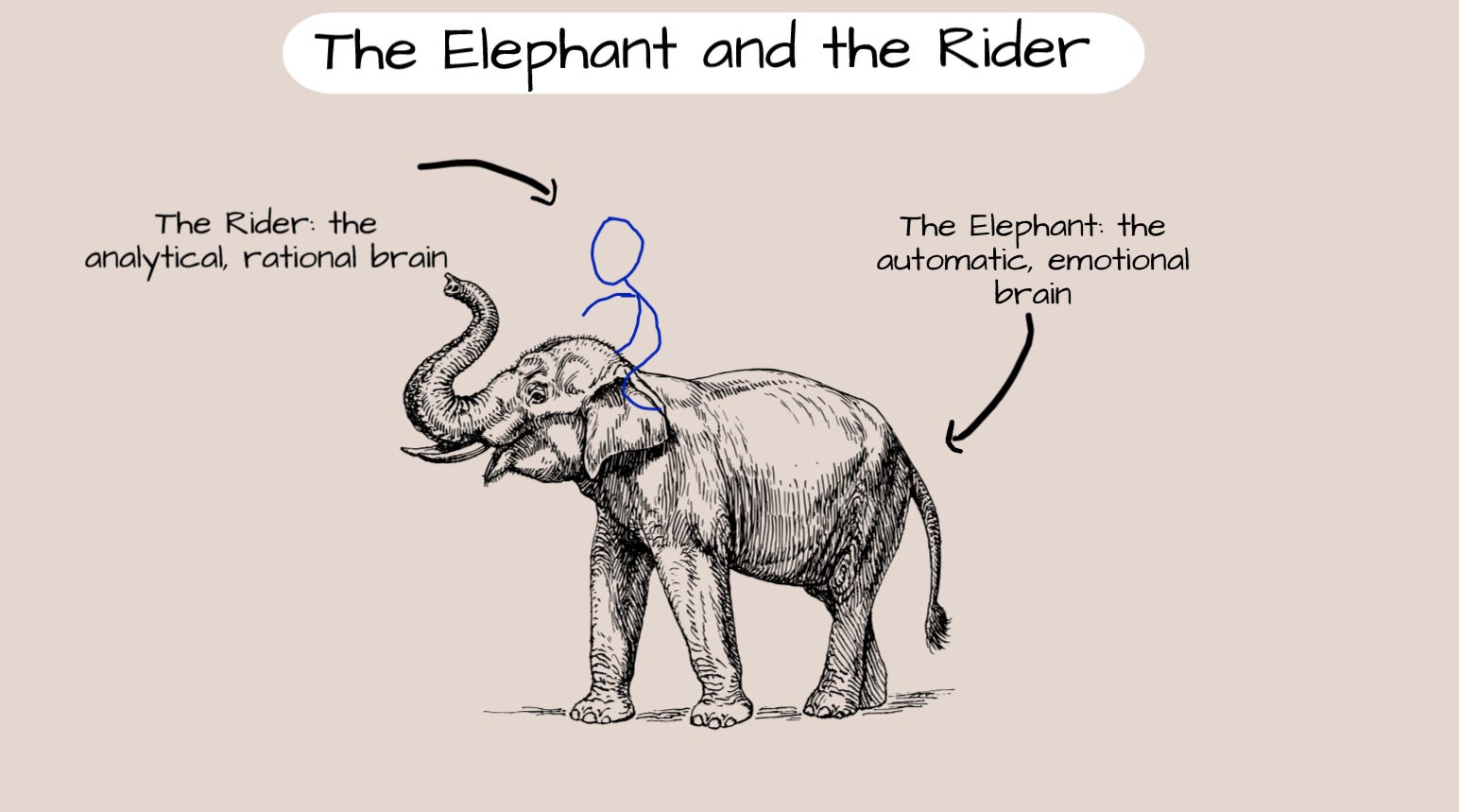 Food for Thought - 11 June 2023 - by Saurav Risbud