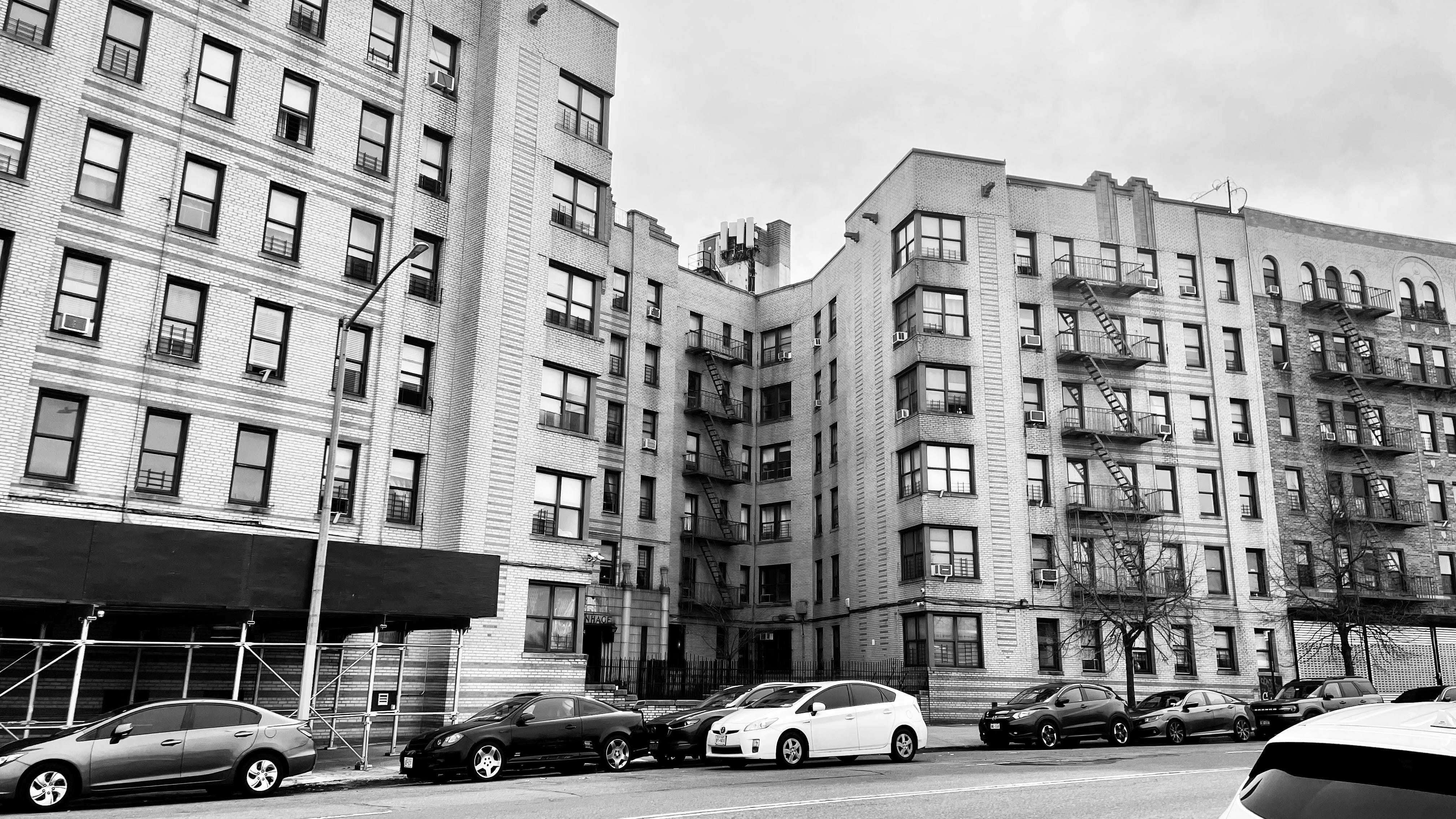 Leaving the Bronx: My Journey to Discovering Identity and Finding My Voice