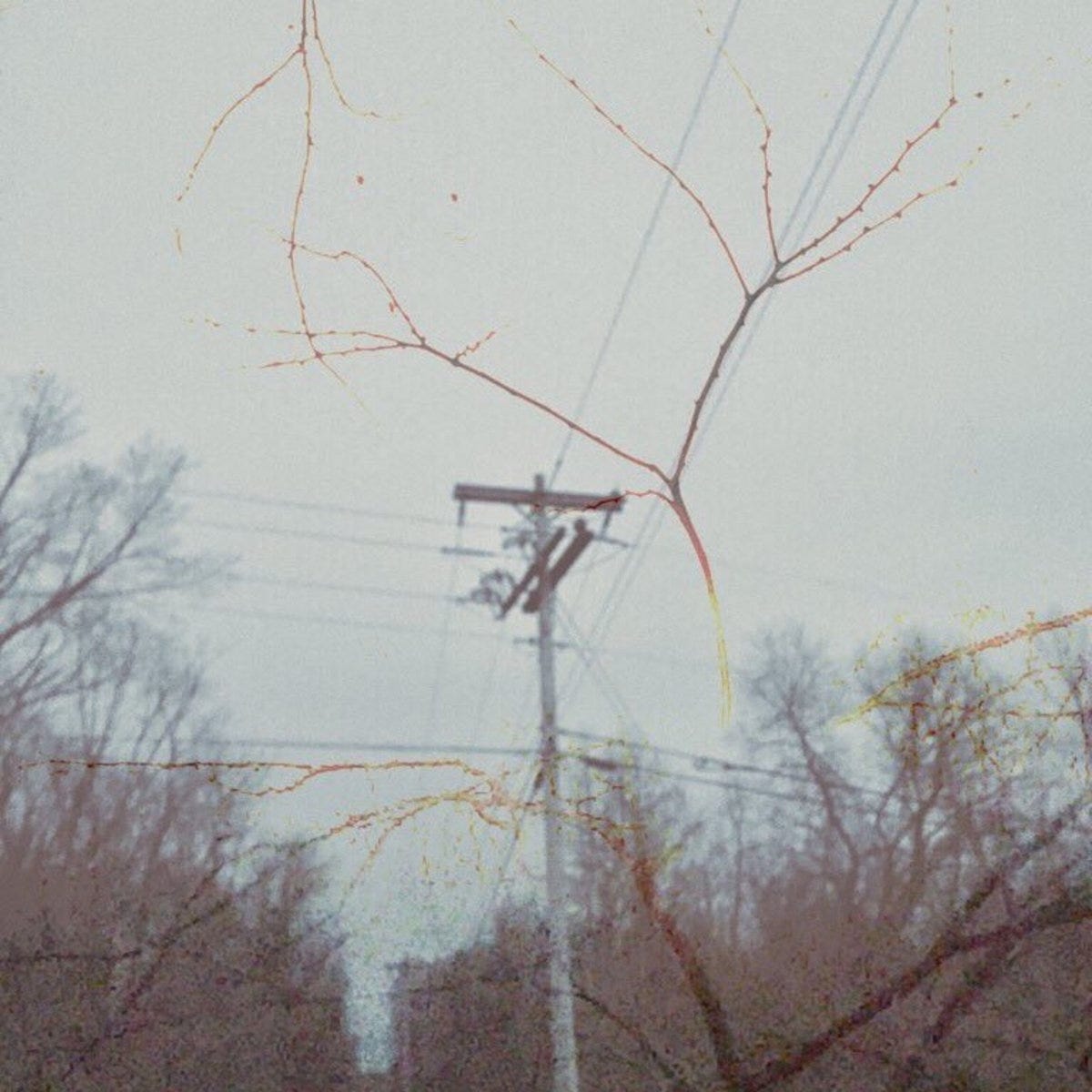 Préciser les conditions d’application des objectifs d’apprentissage