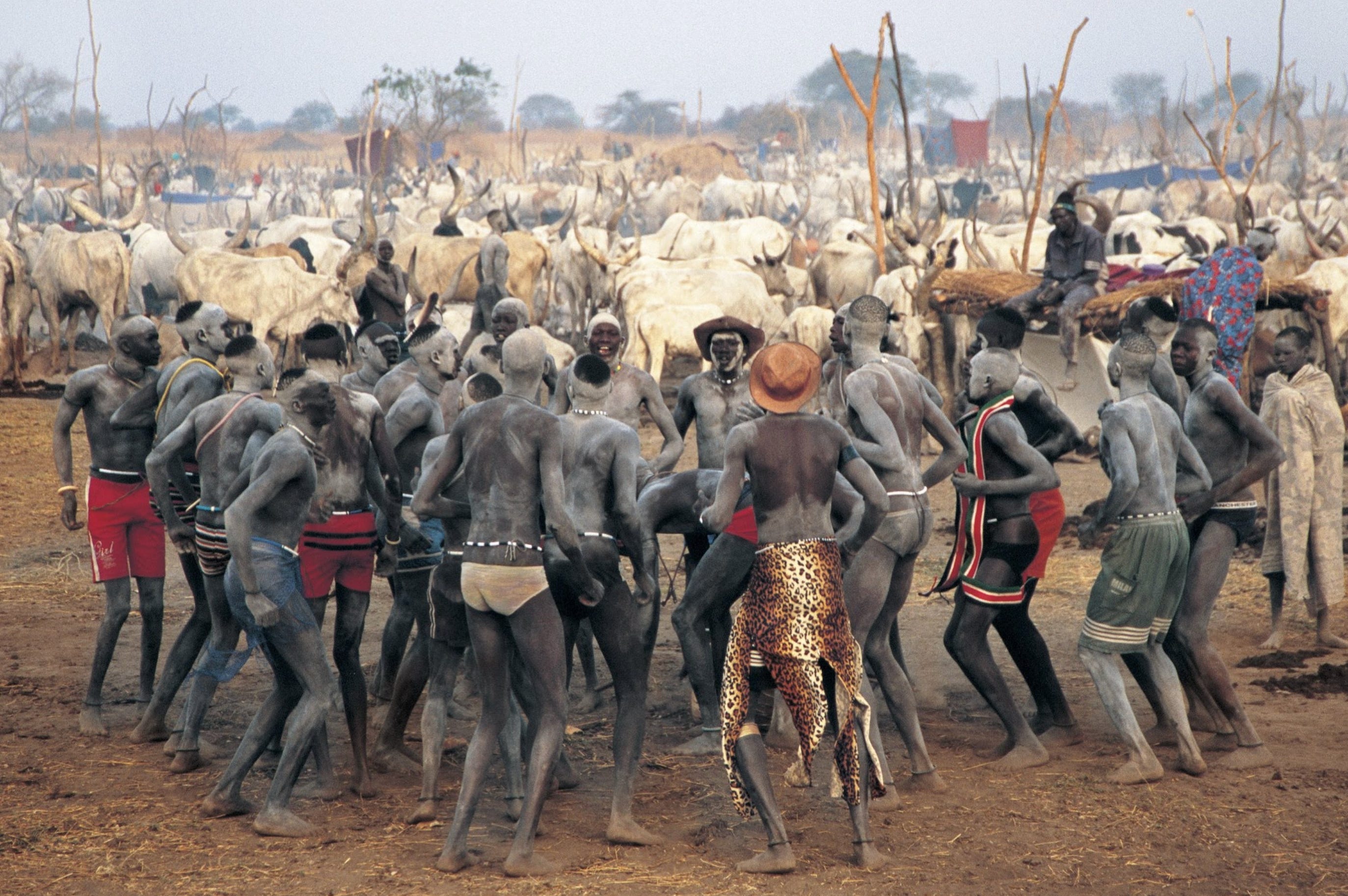Rituals, Raids, and Masculinity: The Cultural Evolution of Warfare