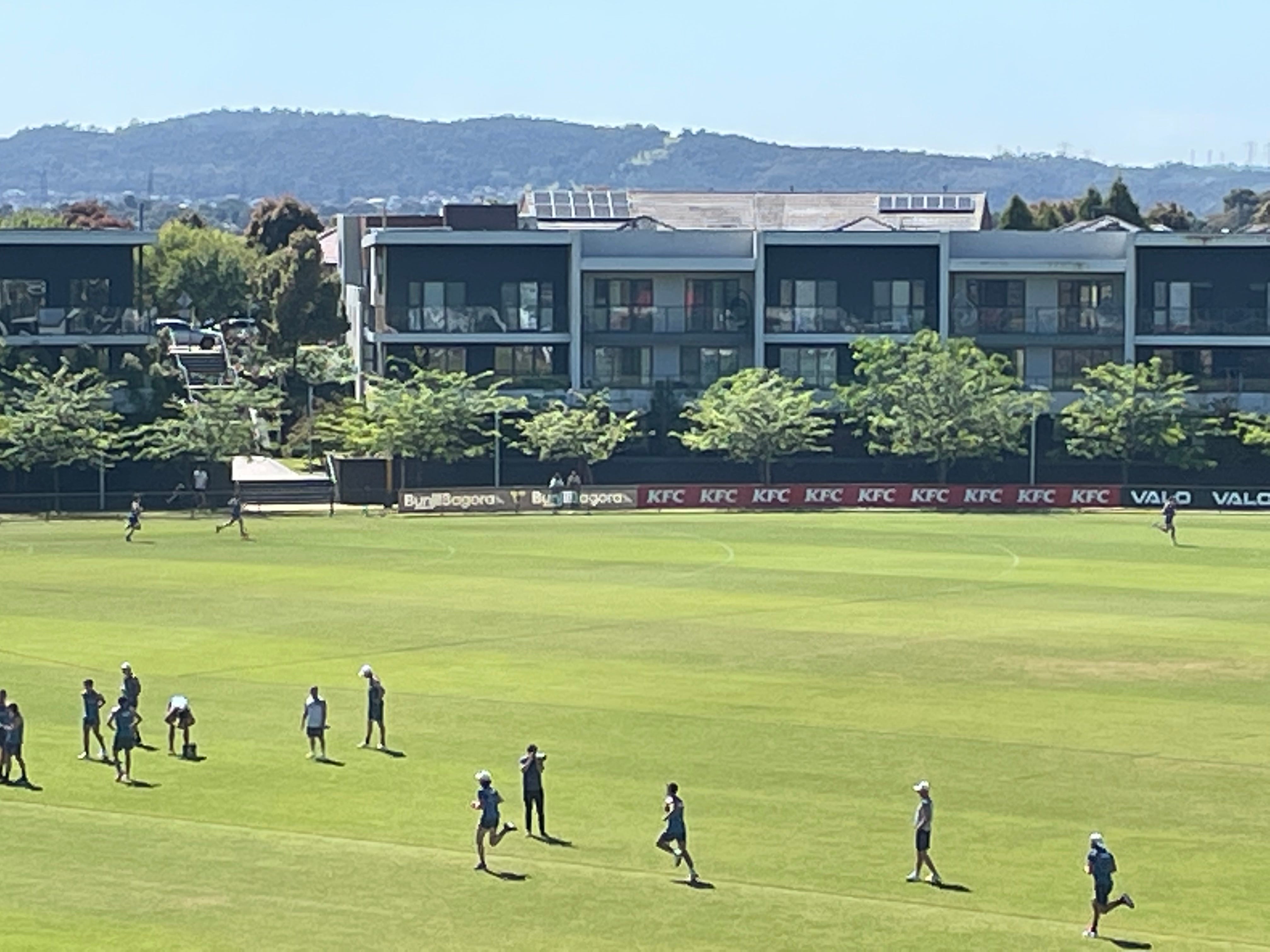 The rise and rise of Josh Weddle - by Daniel Prins