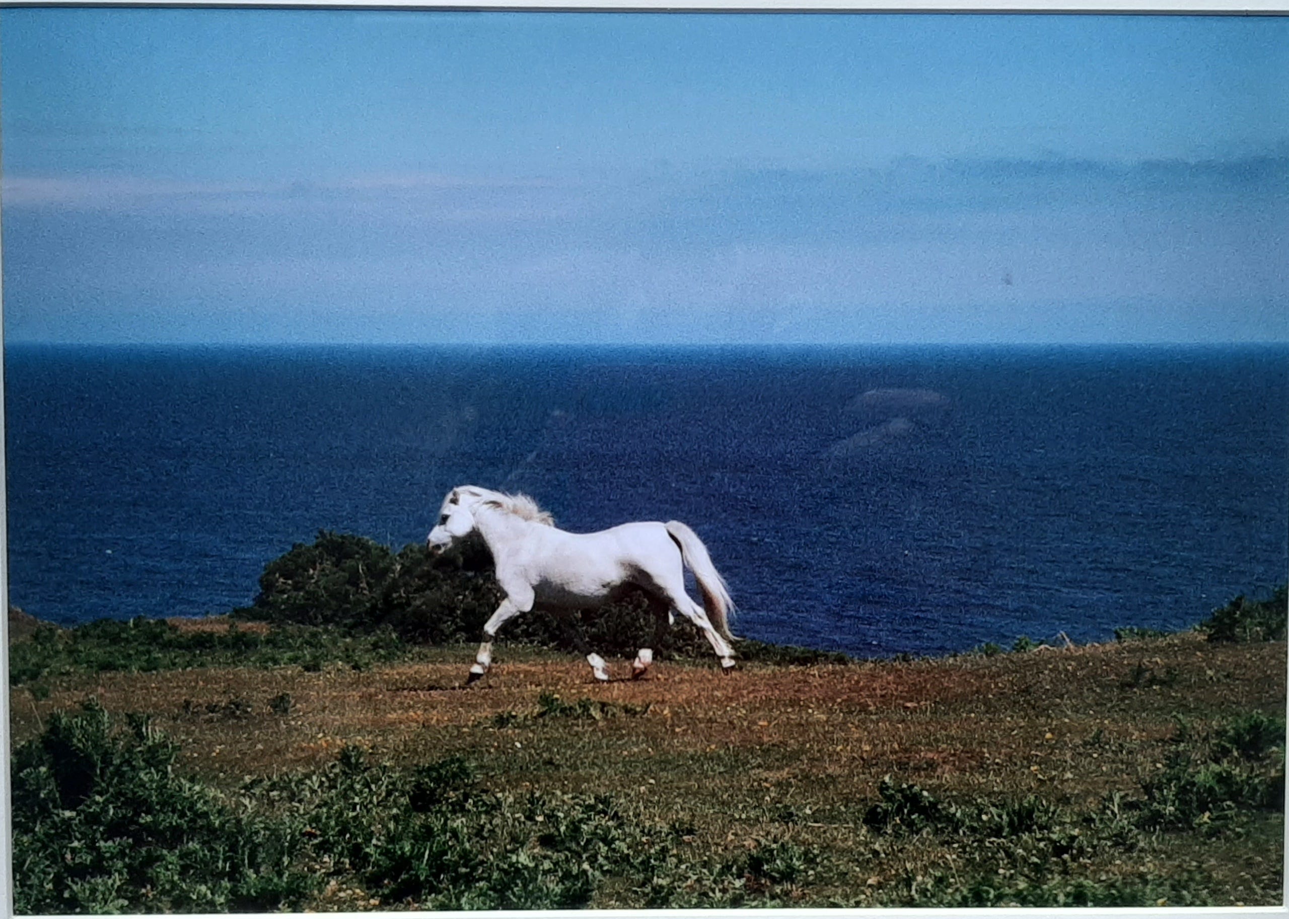 Poem - by Hannah-May Batley - u n r u l y b o d i e s