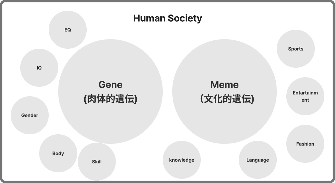 Explore what memes are and what the phenomenon of meme coins is all about.