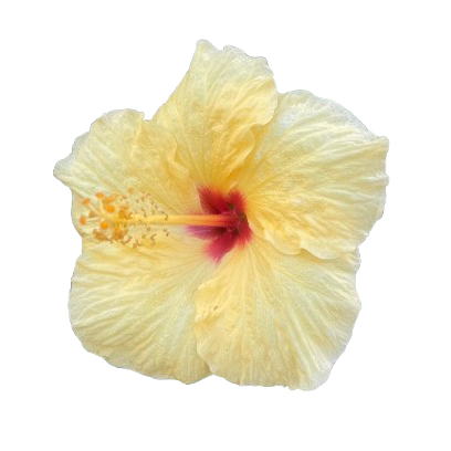 katherine | Substack