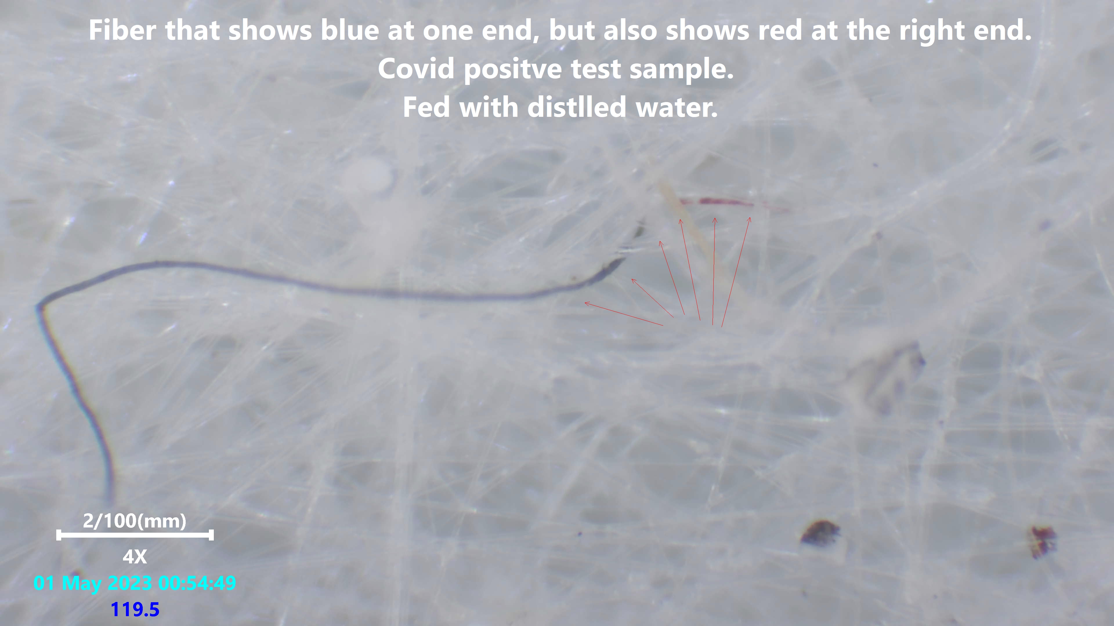 C O V -19 positive rapid test viewing. - Karl.C’s Substack