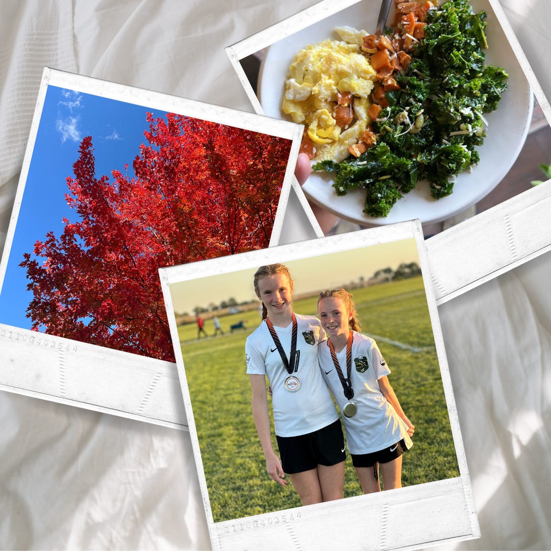 My Favorite Seven Things This November - by Alexa Schirm