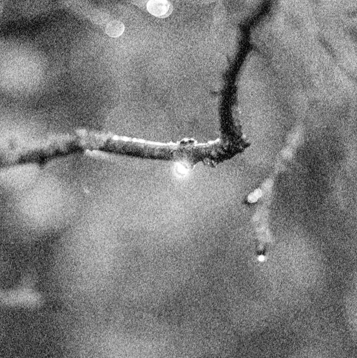 Nik Stanbridge | Substack