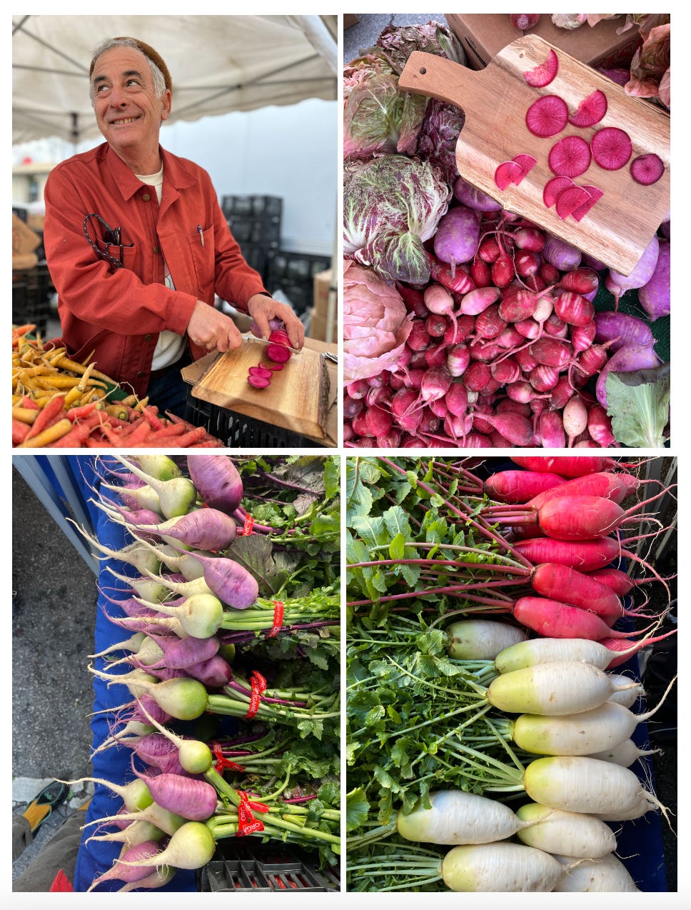 The Enigmatical Winter Radish - by Sam Rogers