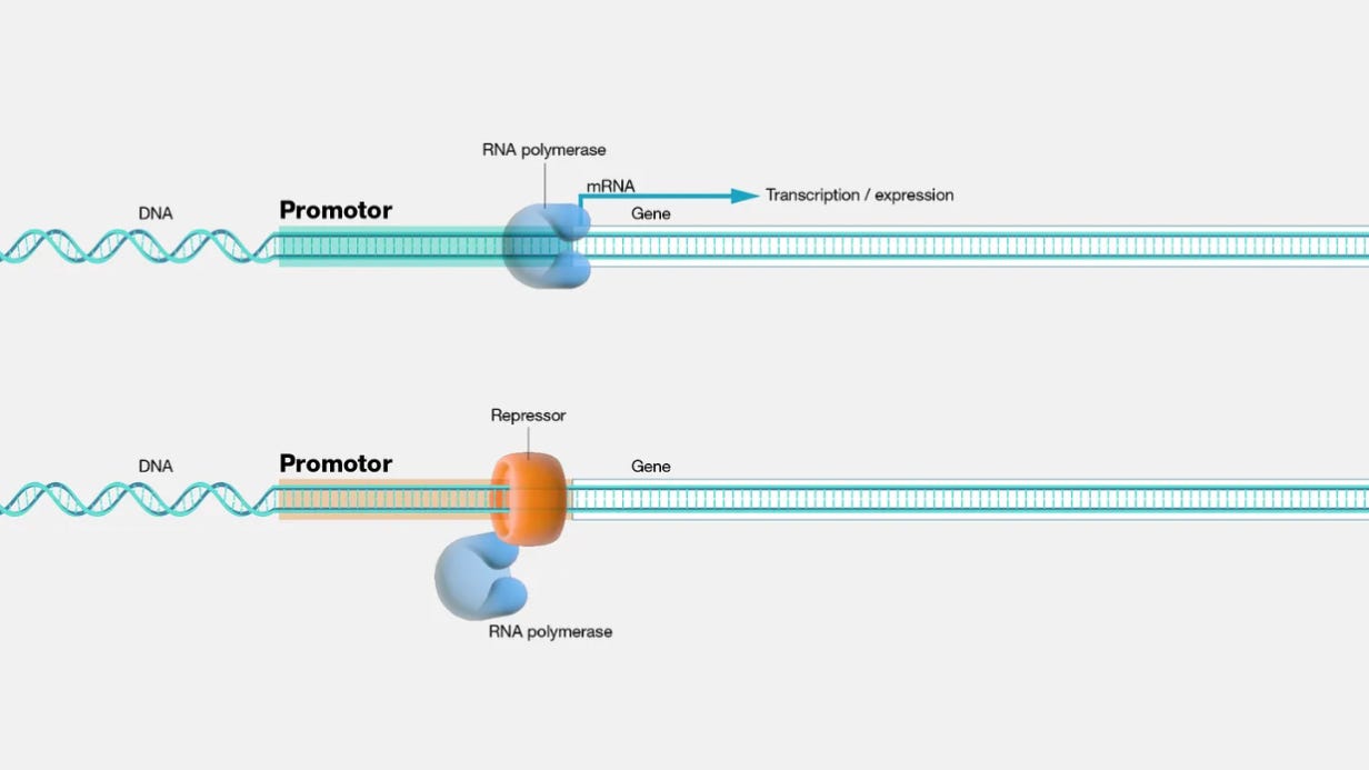 Designing DNA with AI - by Natan Kramskiy - Bio Unwrapped