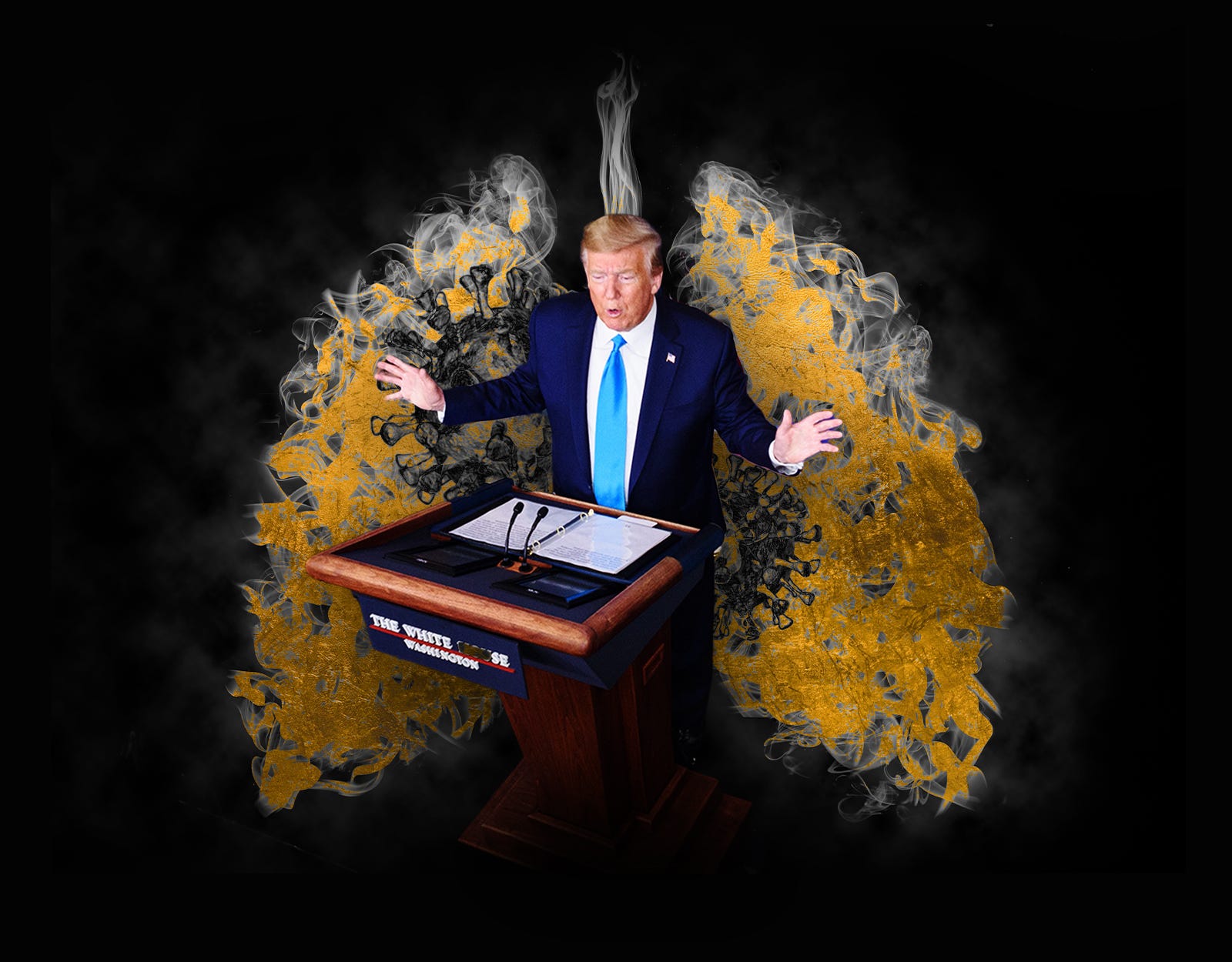 Trump's Authoritarian Pandemic - by Richard North Patterson