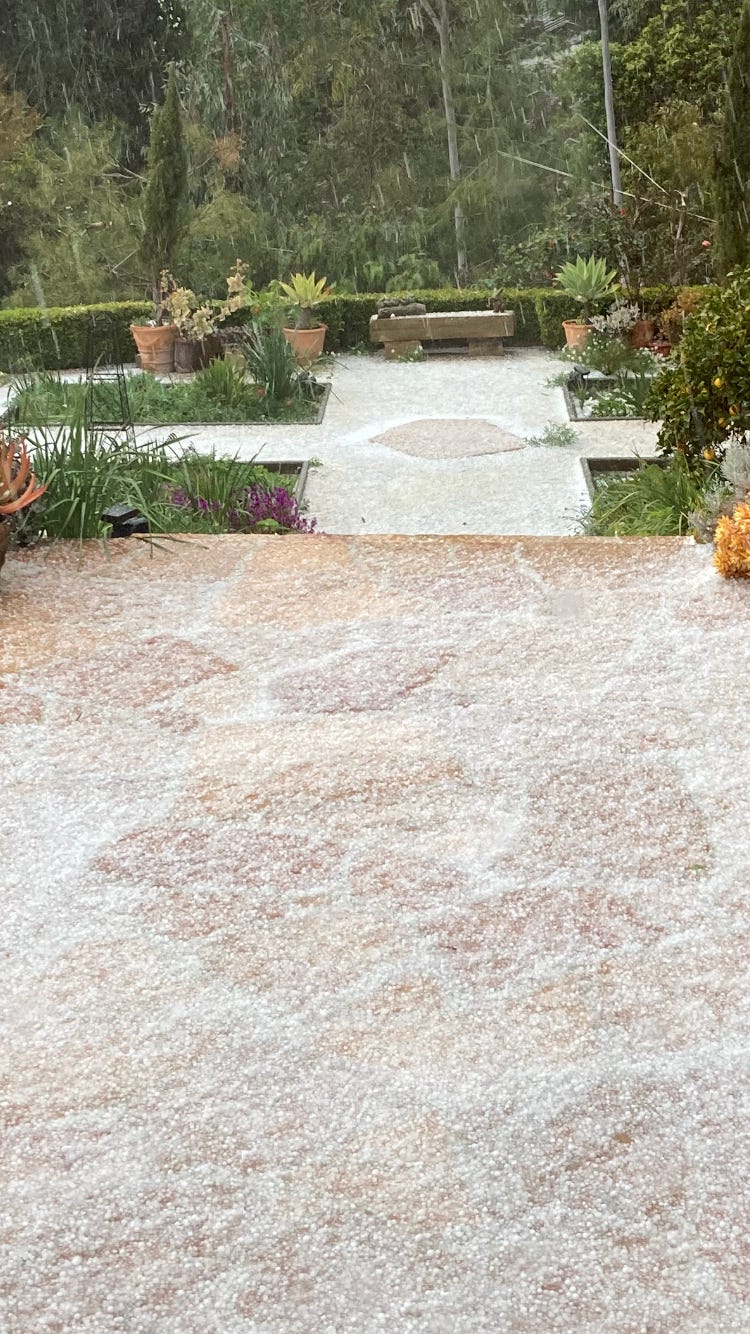 Monster Storm - by kitten seeking answers